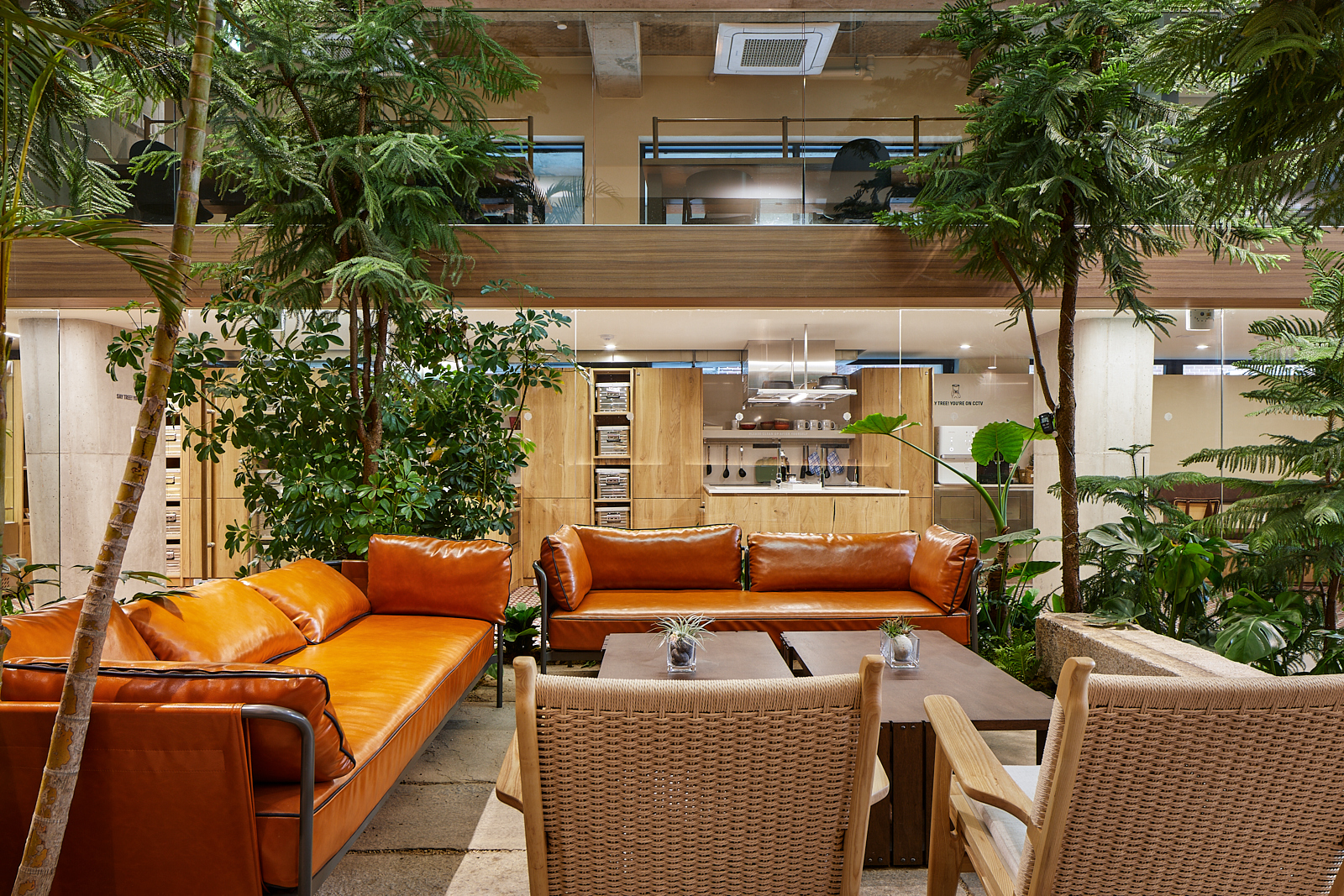 Galeria de Edifício Residencial Treehouse / Bo-DAA - 7