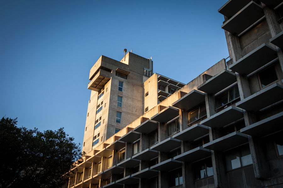 Gallery of Design Your Summer! UC Berkeley's College of Environmental ...