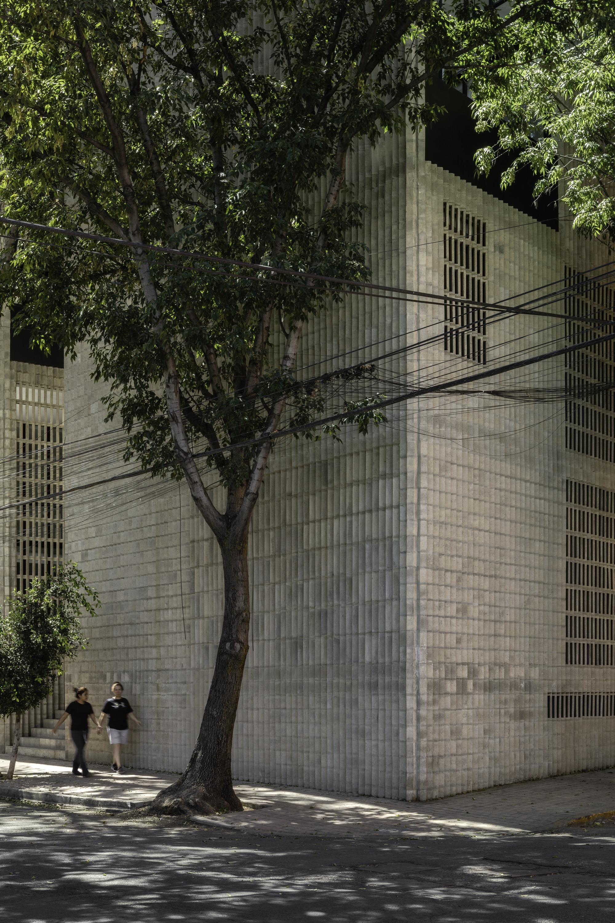 Gallery of Mar Tirreno 86 / Taller Frida Escobedo - 5