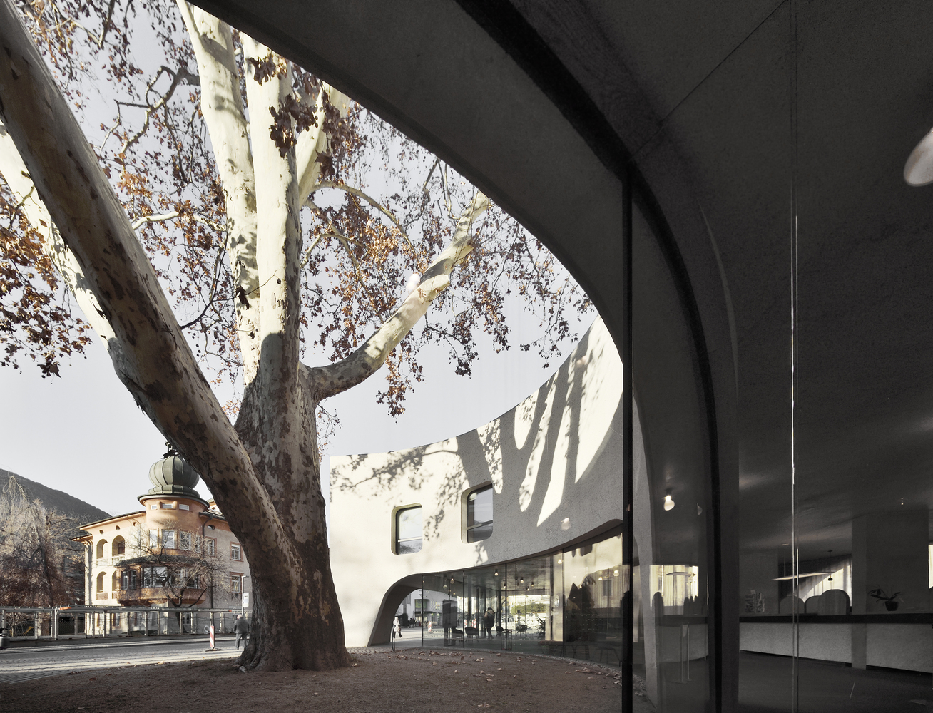 Gallery of TreeHugger Tourist Information Office / MoDusArchitects - 17