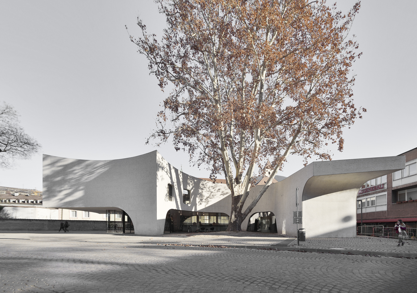 Gallery of TreeHugger Tourist Information Office / MoDusArchitects - 11