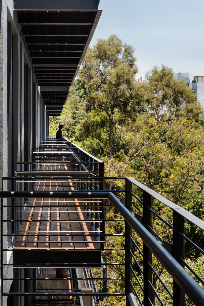 Galería de Apartamentos ODP / Michan Architecture - 2