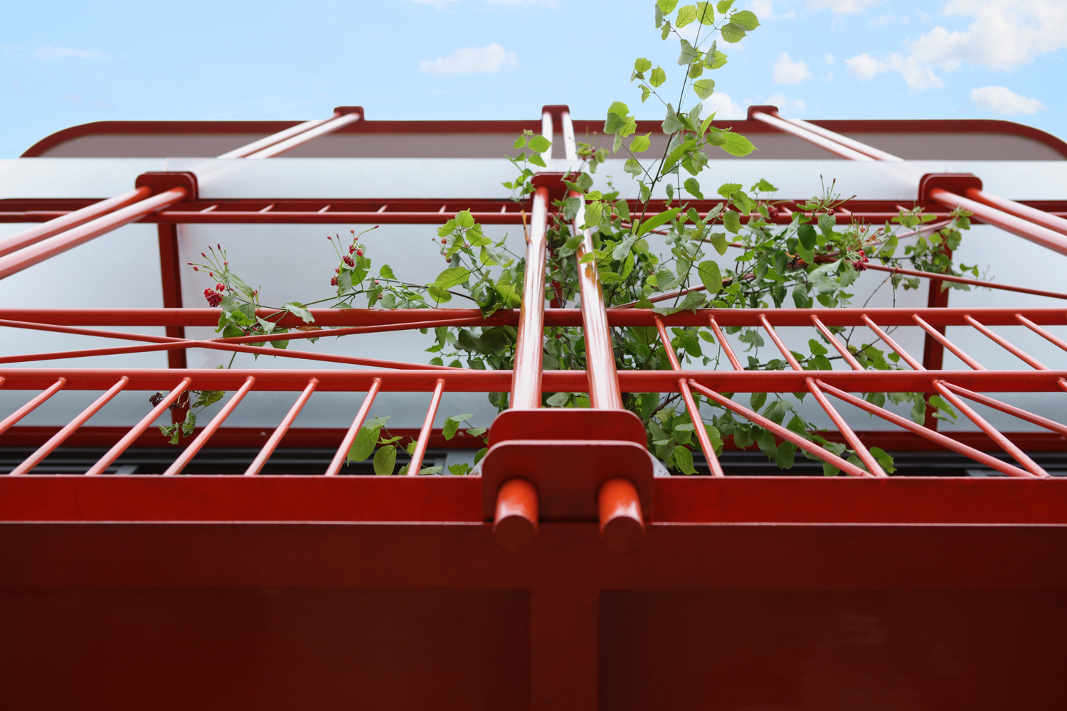 Gallery of Jasmine House / VUUV Architecture and Interior Design - 7