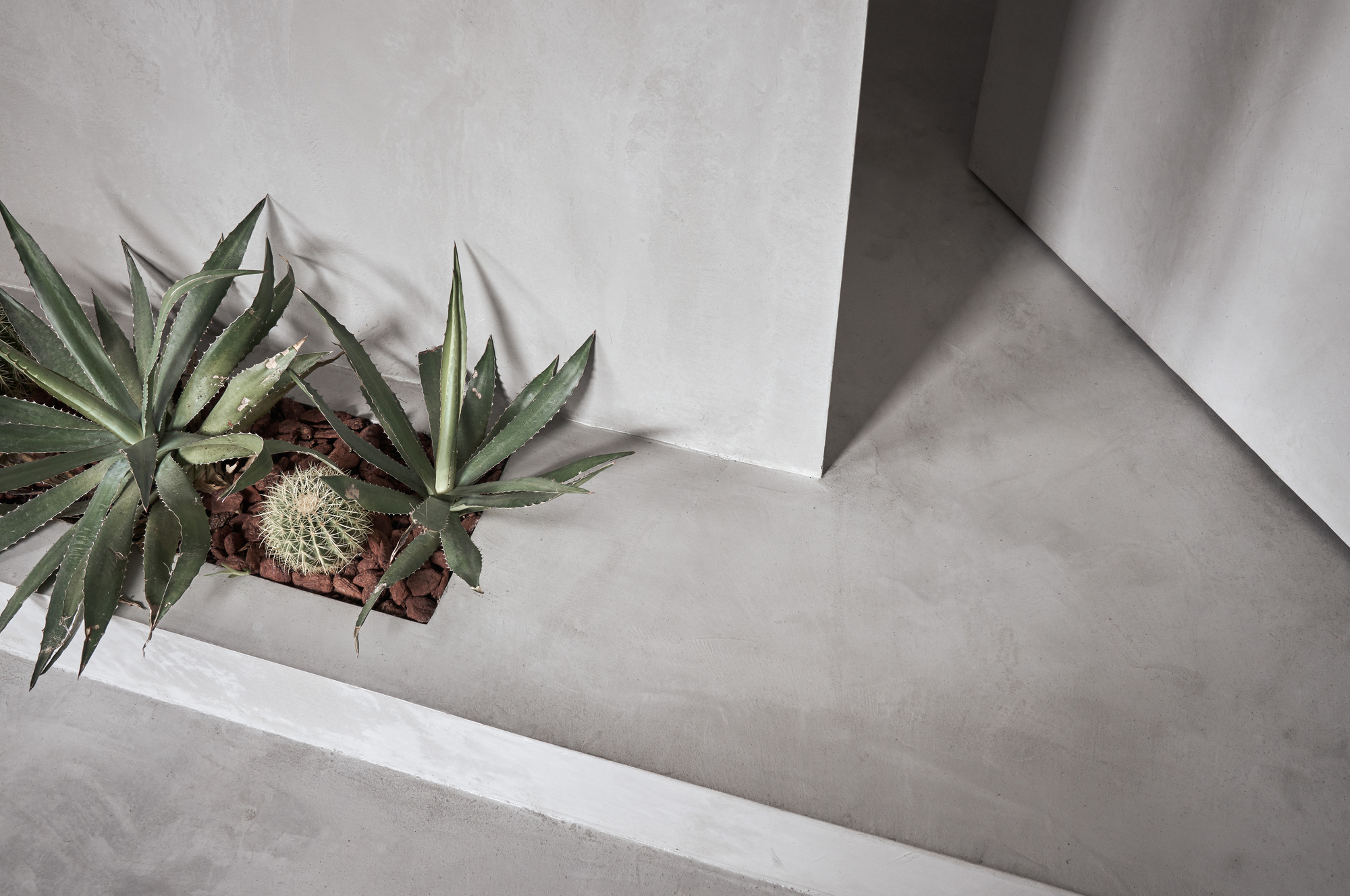 Gallery of The Platypus Cafe / Radius Interior Design Studio - 24