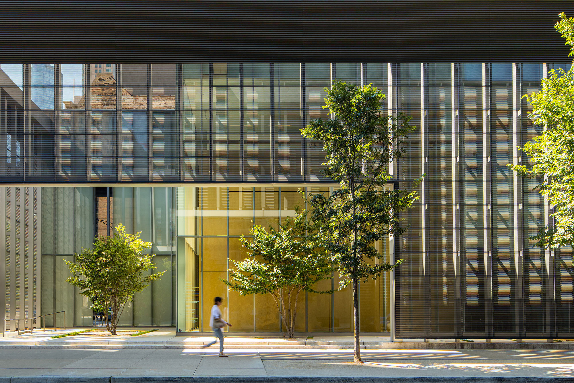 “To Be a Good Architect You Have to Be Fearless”: In Conversation with ...