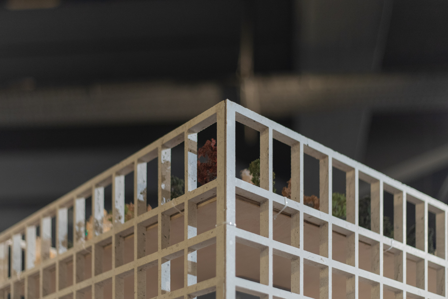 Gallery of Groupwork Architects Investigate the Sustainable Advantage ...