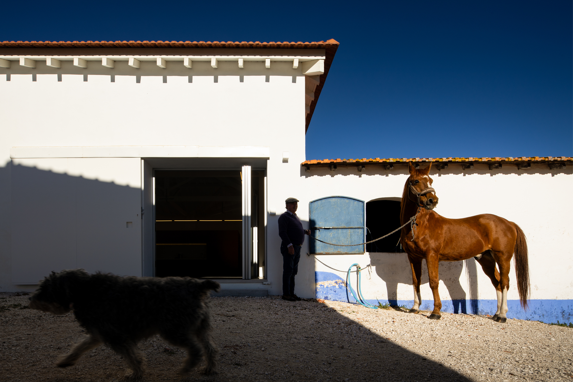 Gallery of Landscape Observatory of Charneca / Joao Morais - 13