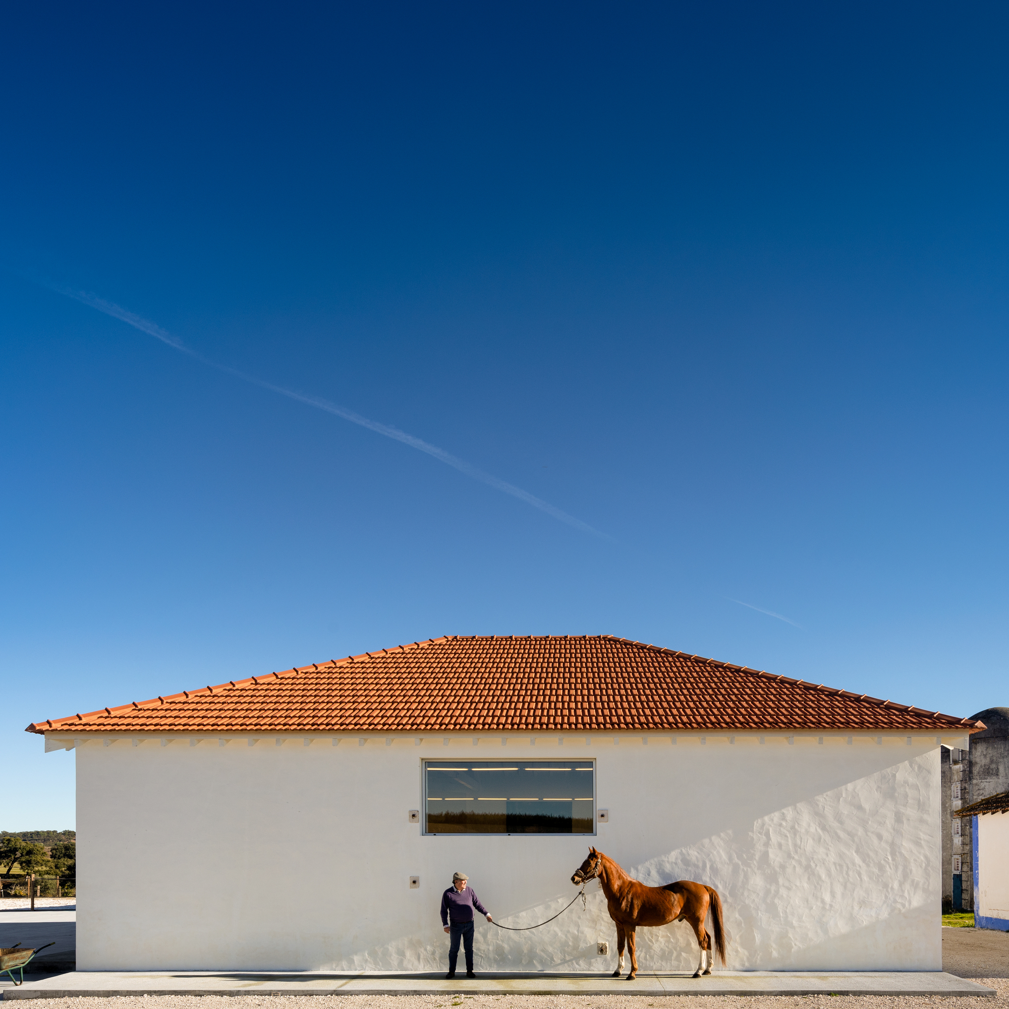 Gallery of Landscape Observatory of Charneca / Joao Morais - 11