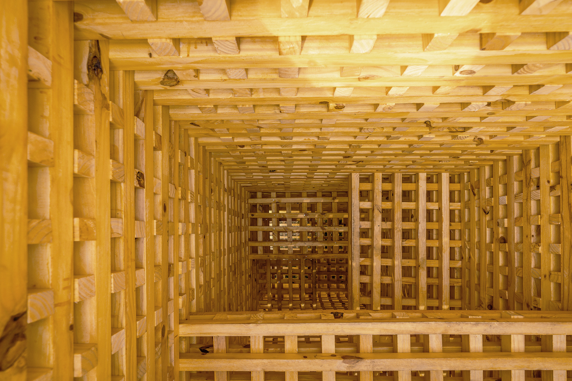 Galería de Estructuras de madera construidas por estudiantes en Hello ...