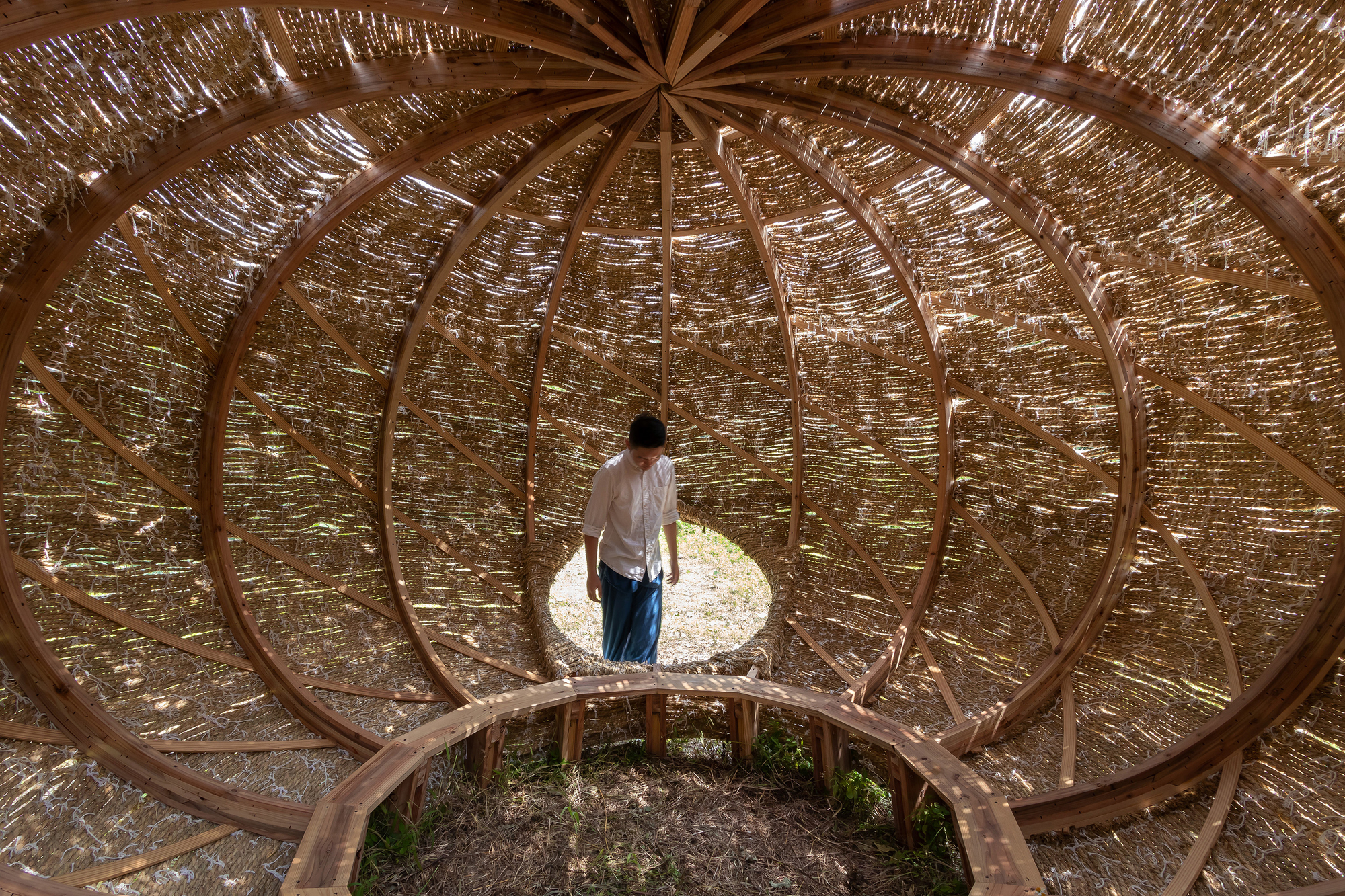 Gallery of Tea Nest / Cheng Tsung FENG - 2