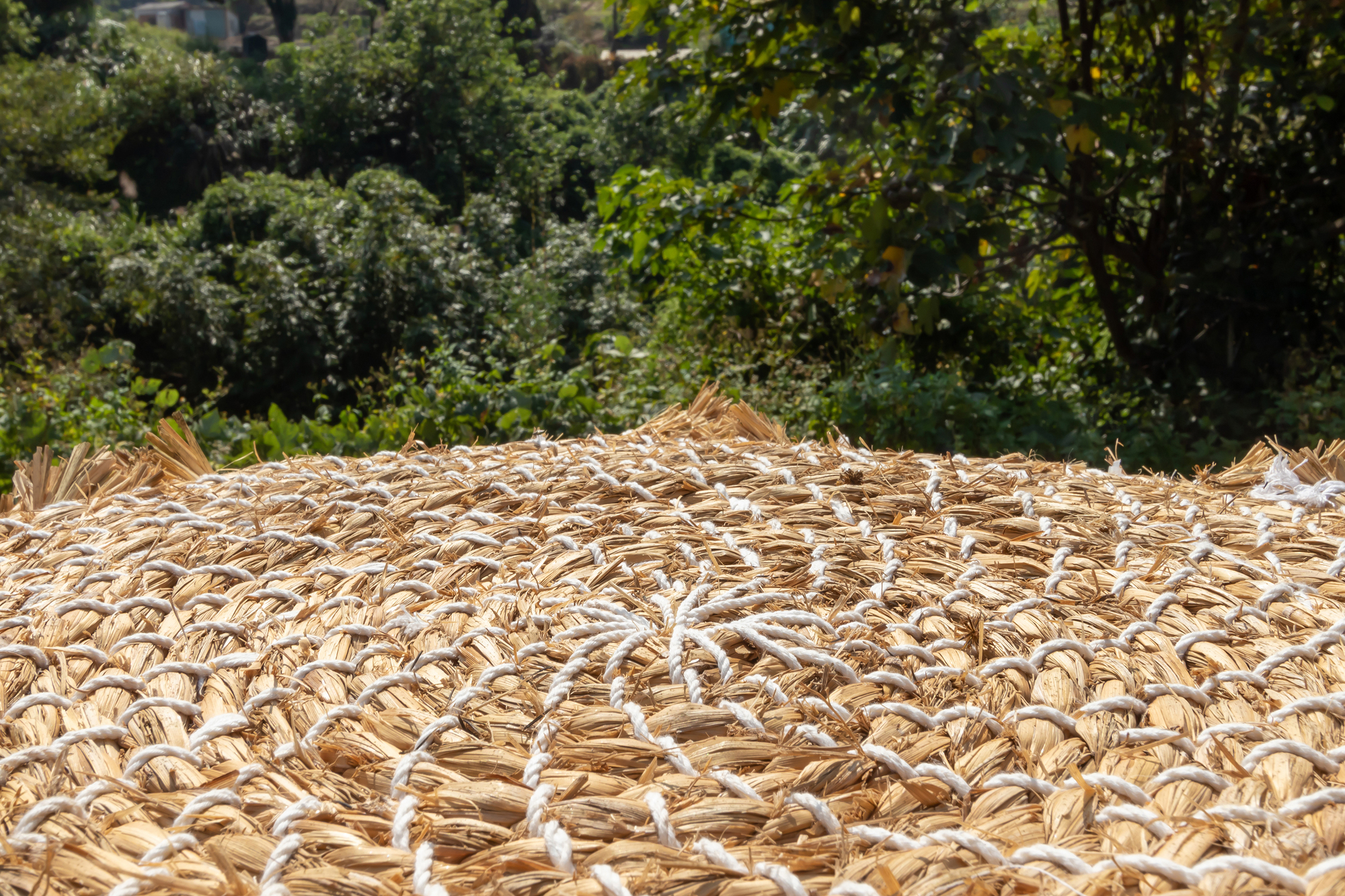Gallery of Tea Nest / Cheng Tsung FENG - 12