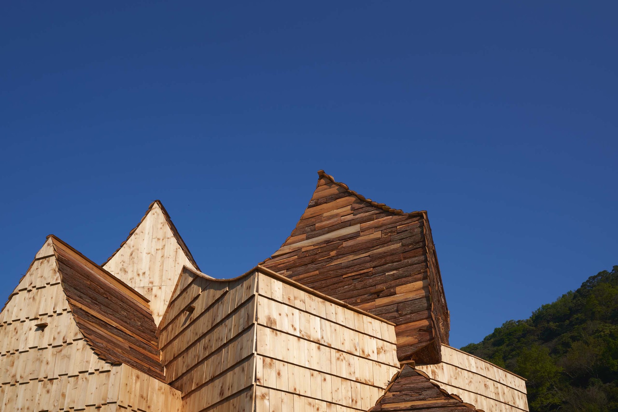 Galeria de Boolean - Casa dos Pássaros / Phoebe Says Wow Architects - 12