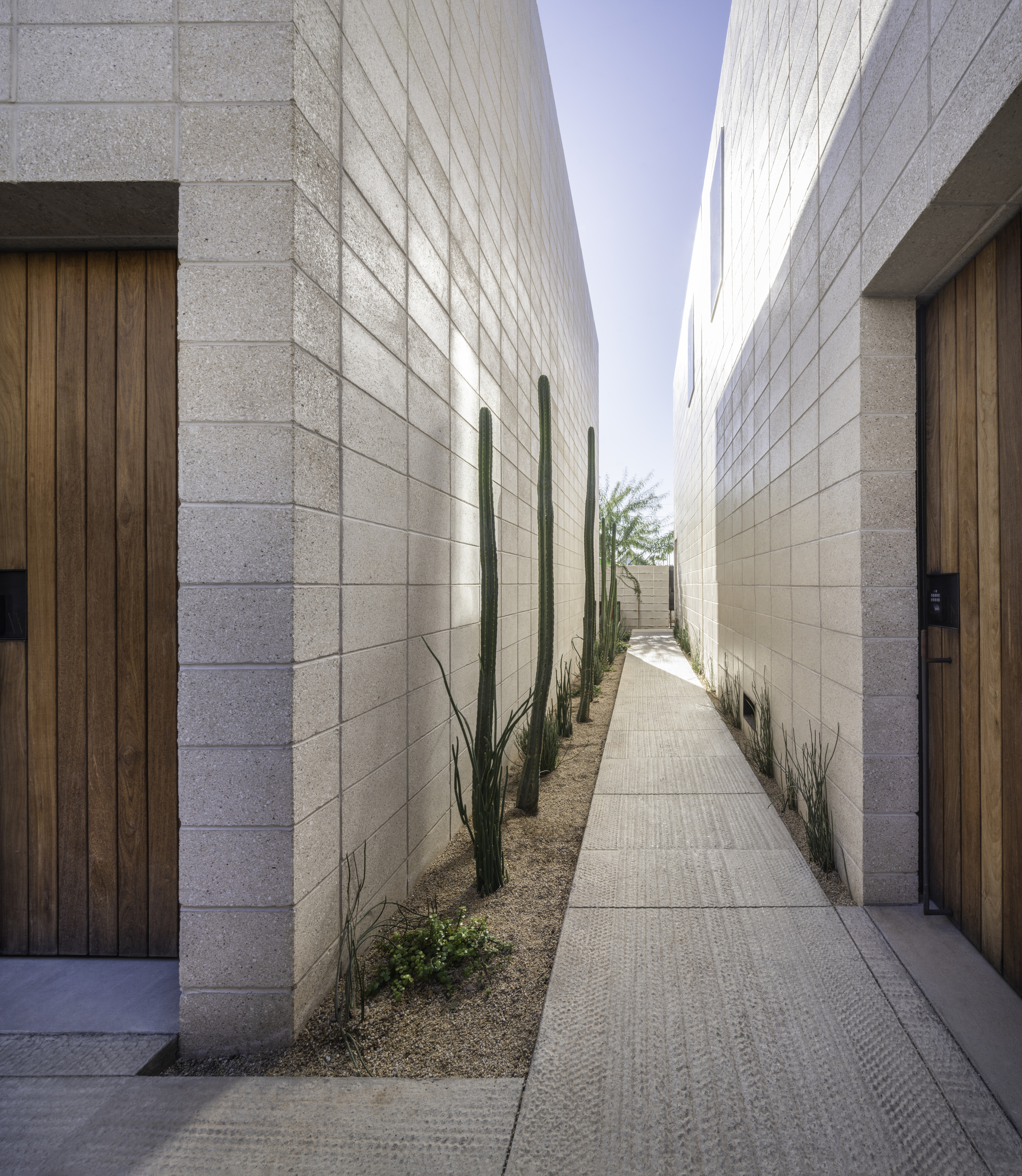 Gallery of White Stone Flats / benjamin hall design - 4