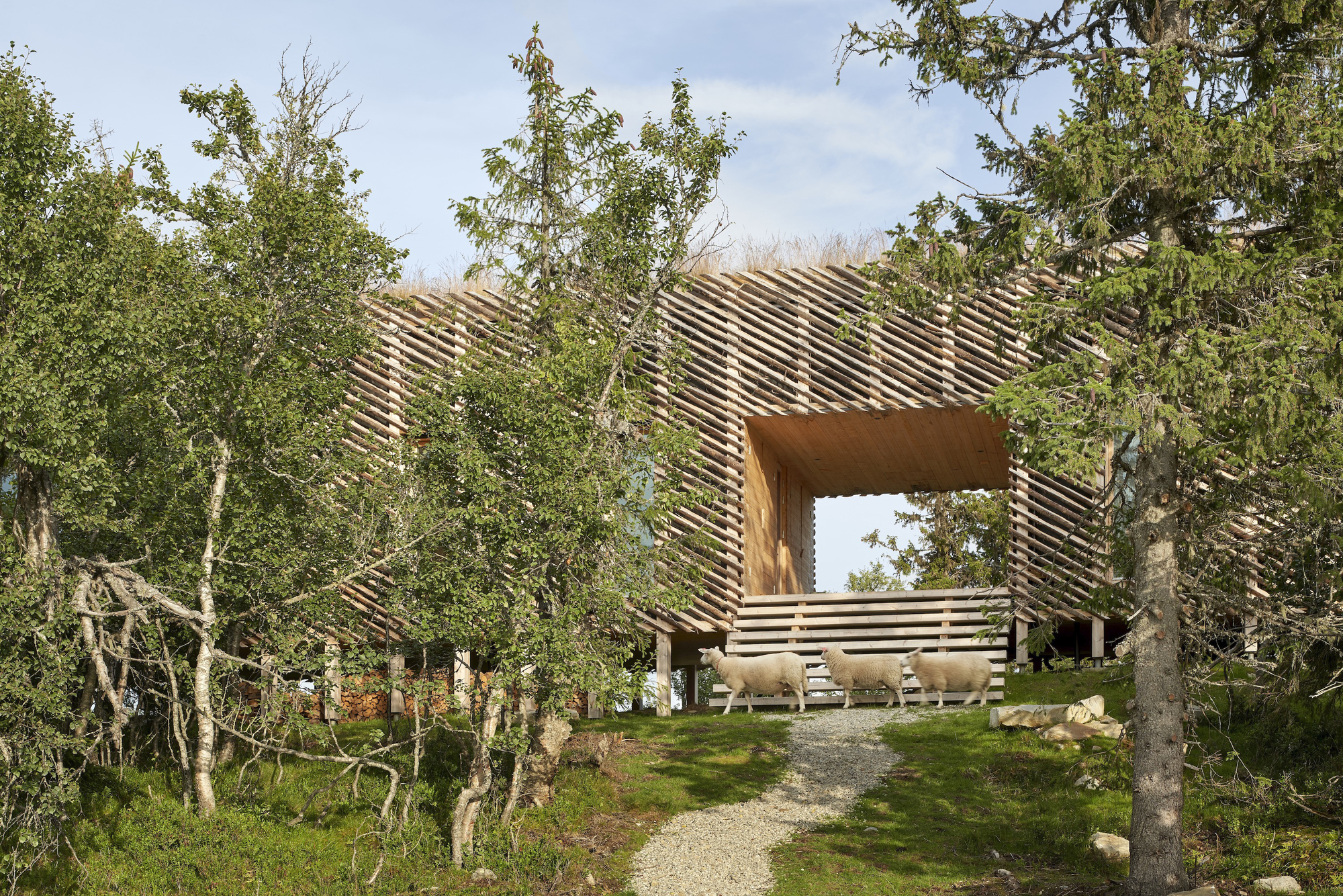 Gallery of Skigard Hytte Cabin / Mork-Ulnes Architects - 10