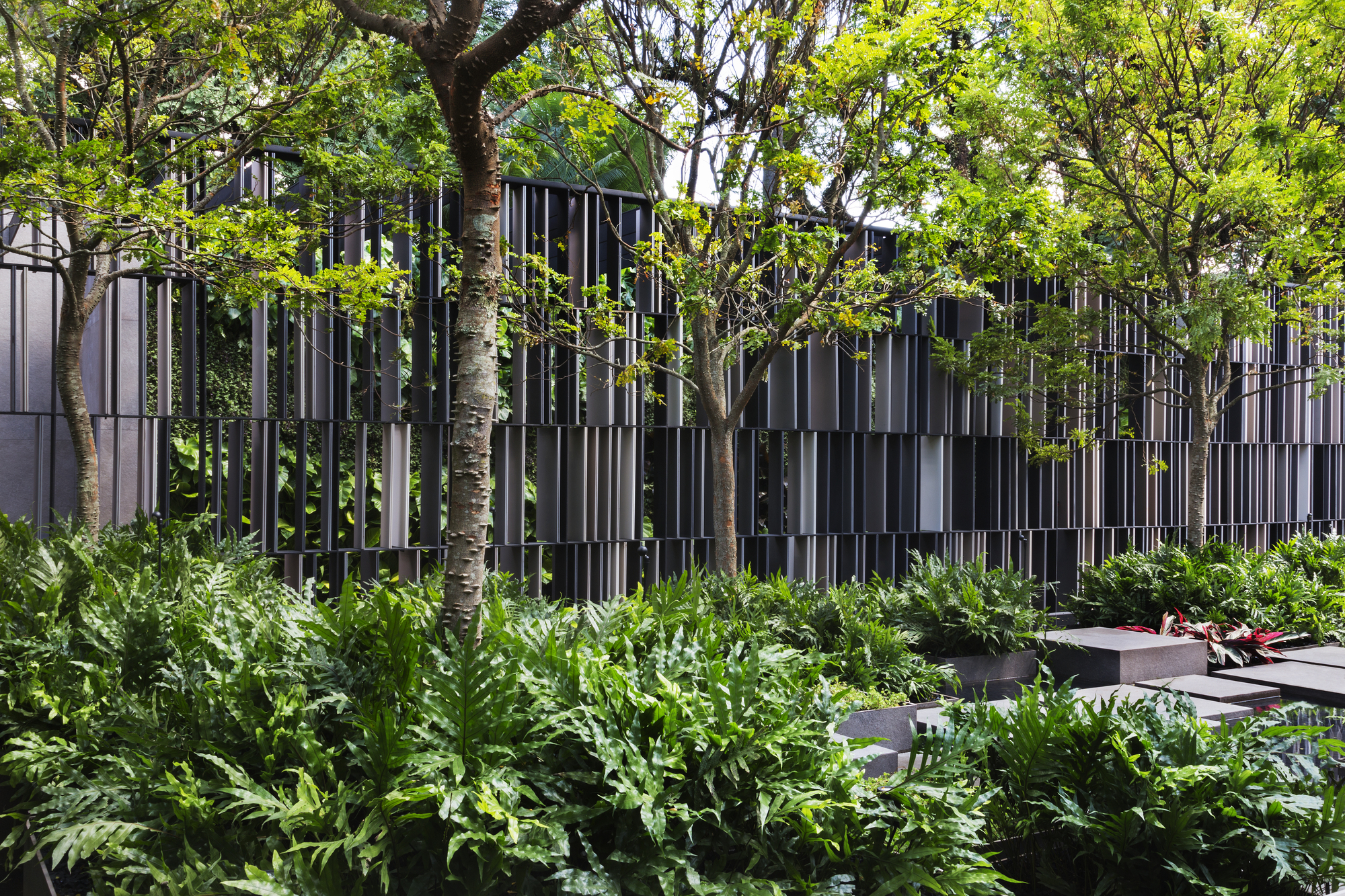 Gallery of Eliane Square / Hanazaki Paisagismo - 13