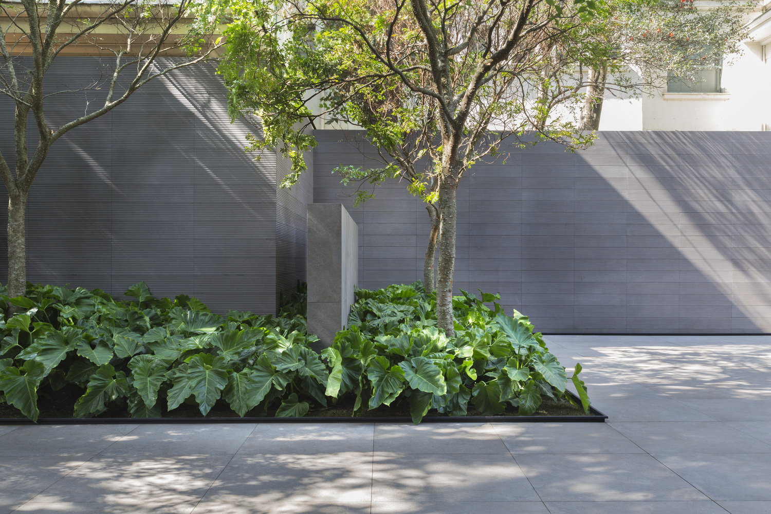 Gallery of Eliane Square / Hanazaki Paisagismo - 15