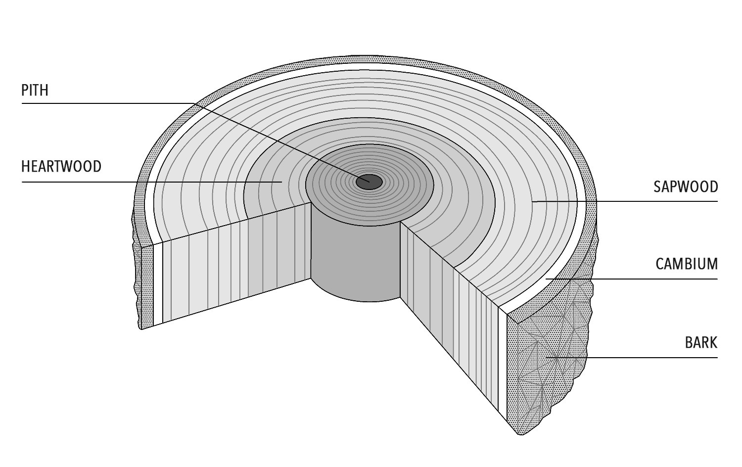 Gallery of Architectonic & Structural Possibilities of Log Wood - 18