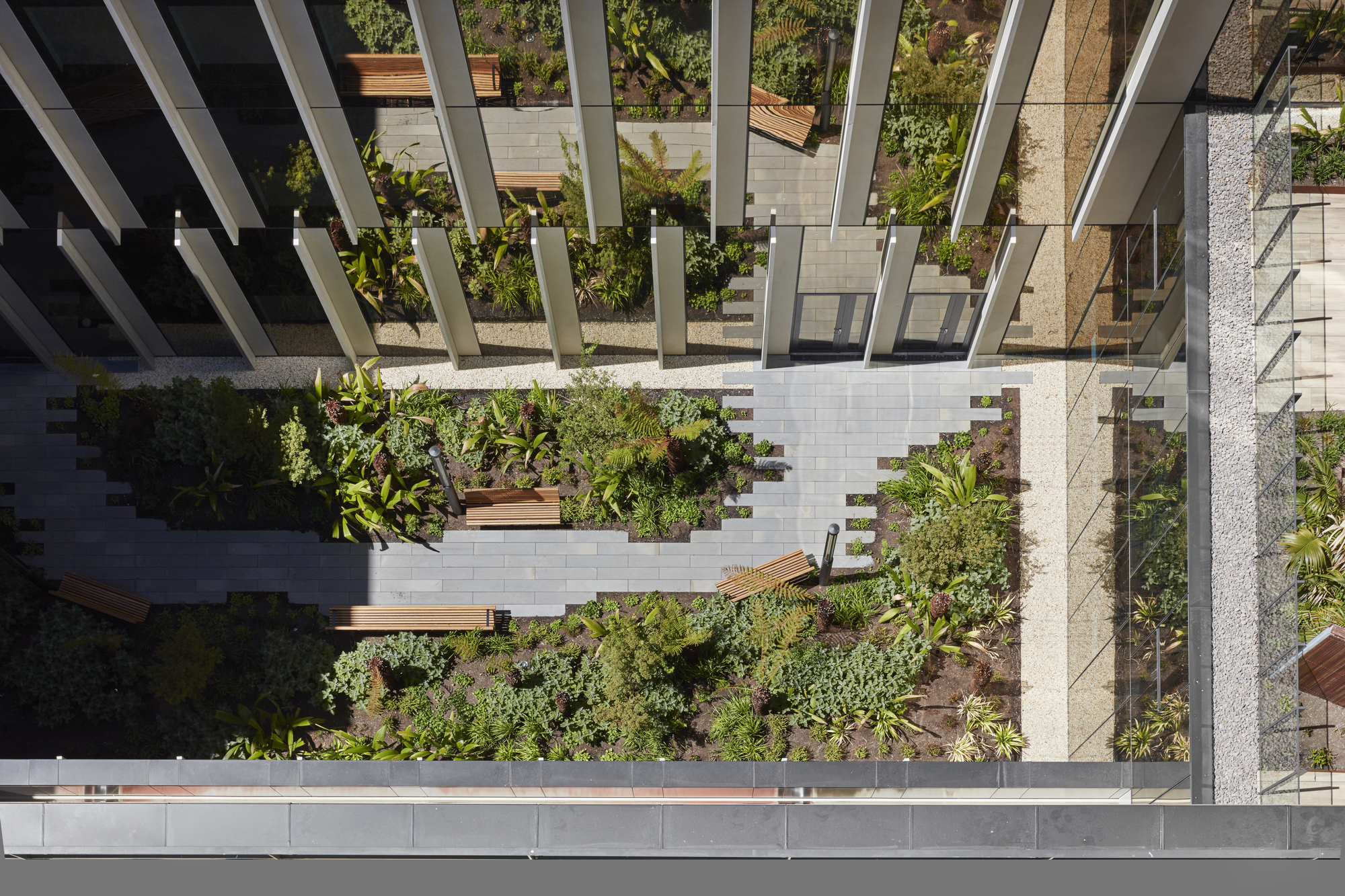 Gallery of Bendigo Hospital / Silver Thomas Hanley + Bates Smart - 8