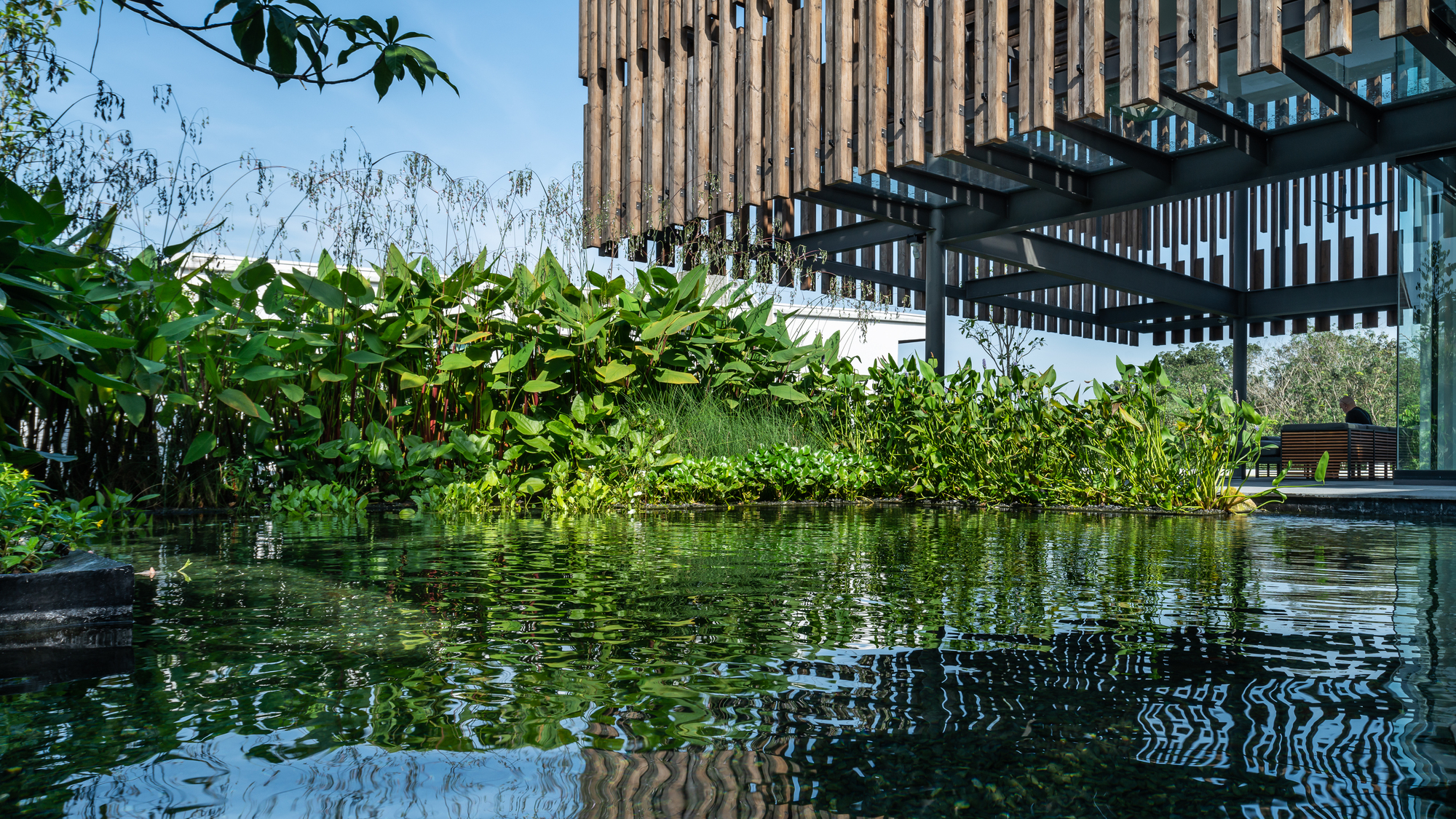 Gallery of House68 / Design Collective Architects - 3