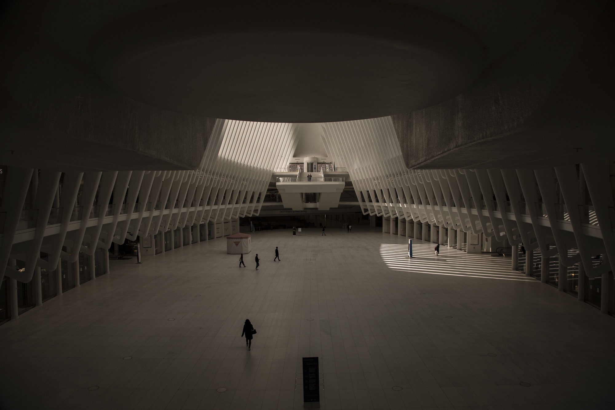 Gallery of A Solitary "Walk": Building Images in Times of Isolation and ...