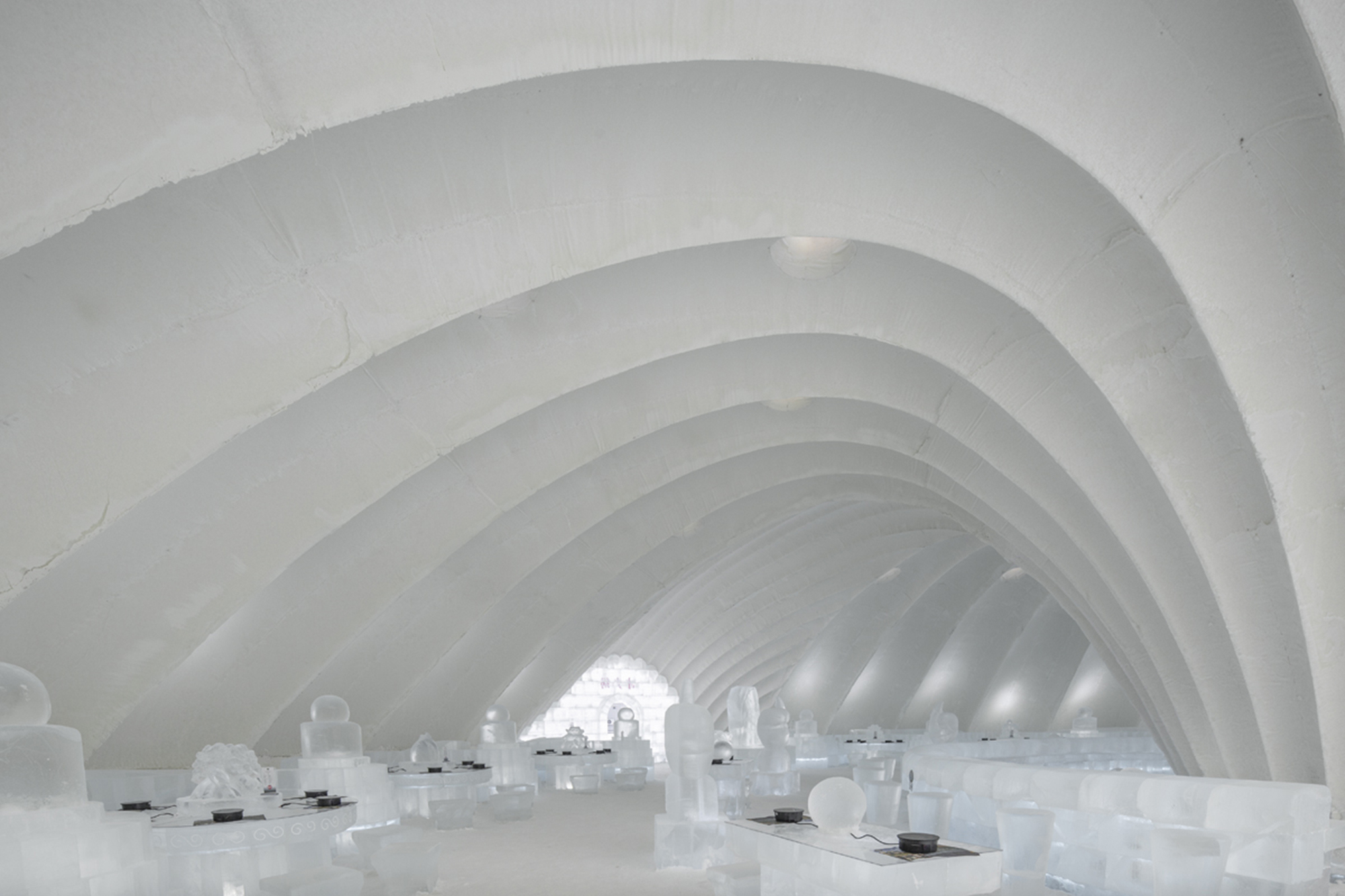 Gallery of Ice Restaurant, The 21st ICE& SNOW WORLD / International Ice ...