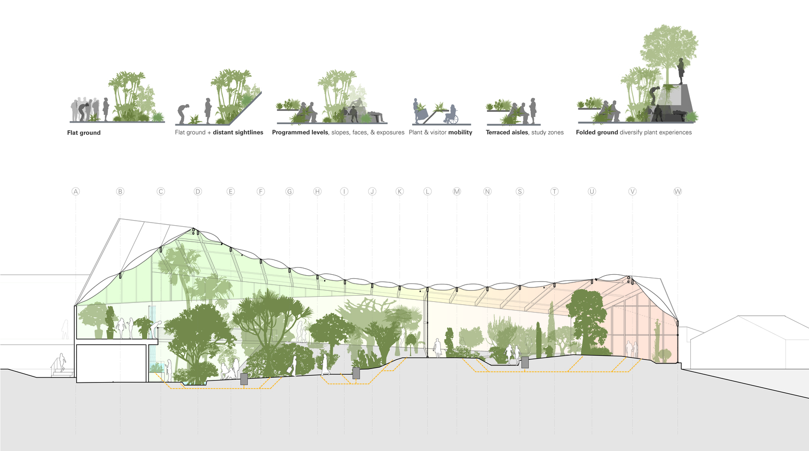 Gallery of Wellesley College Global Flora / Kennedy & Violich ...