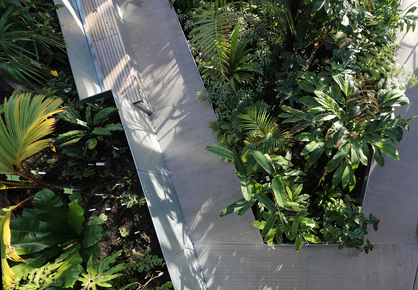 Gallery of Wellesley College Global Flora / Kennedy & Violich ...