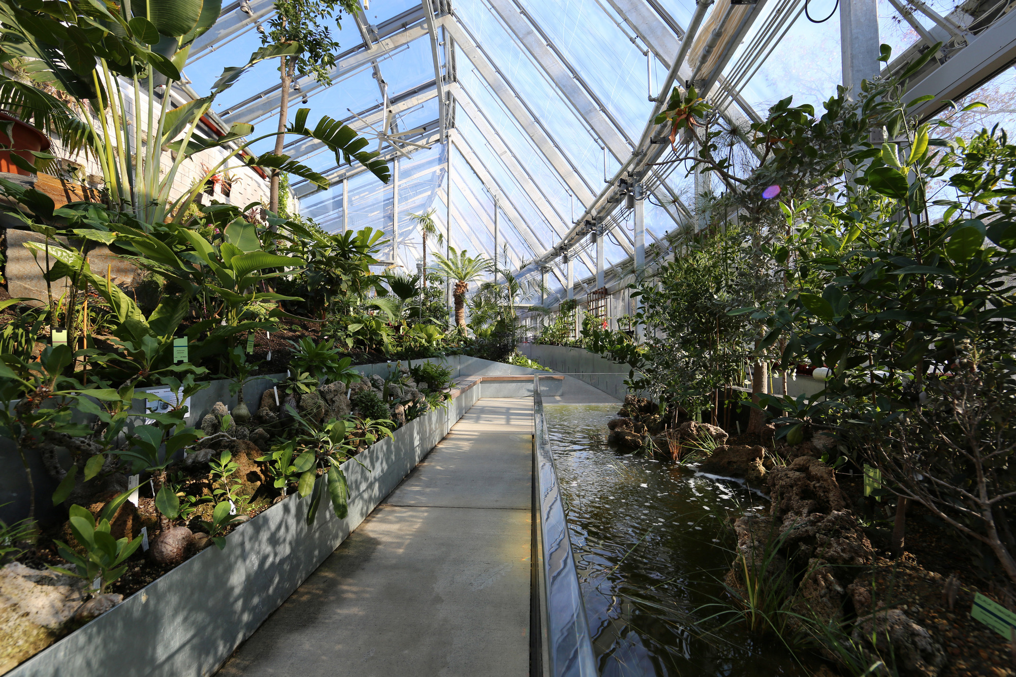 Gallery of Wellesley College Global Flora / Kennedy & Violich ...