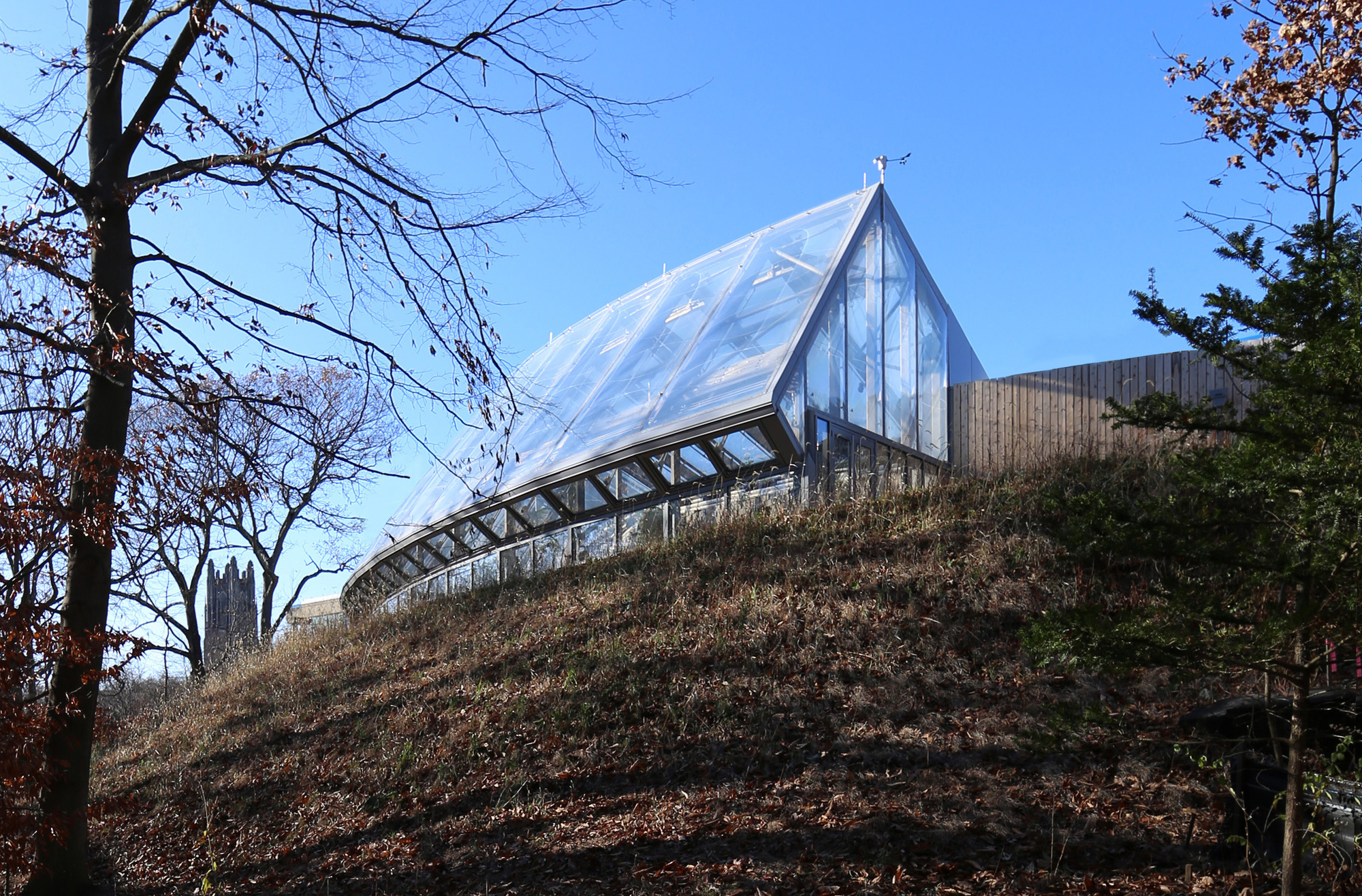 Gallery of Wellesley College Global Flora / Kennedy & Violich ...