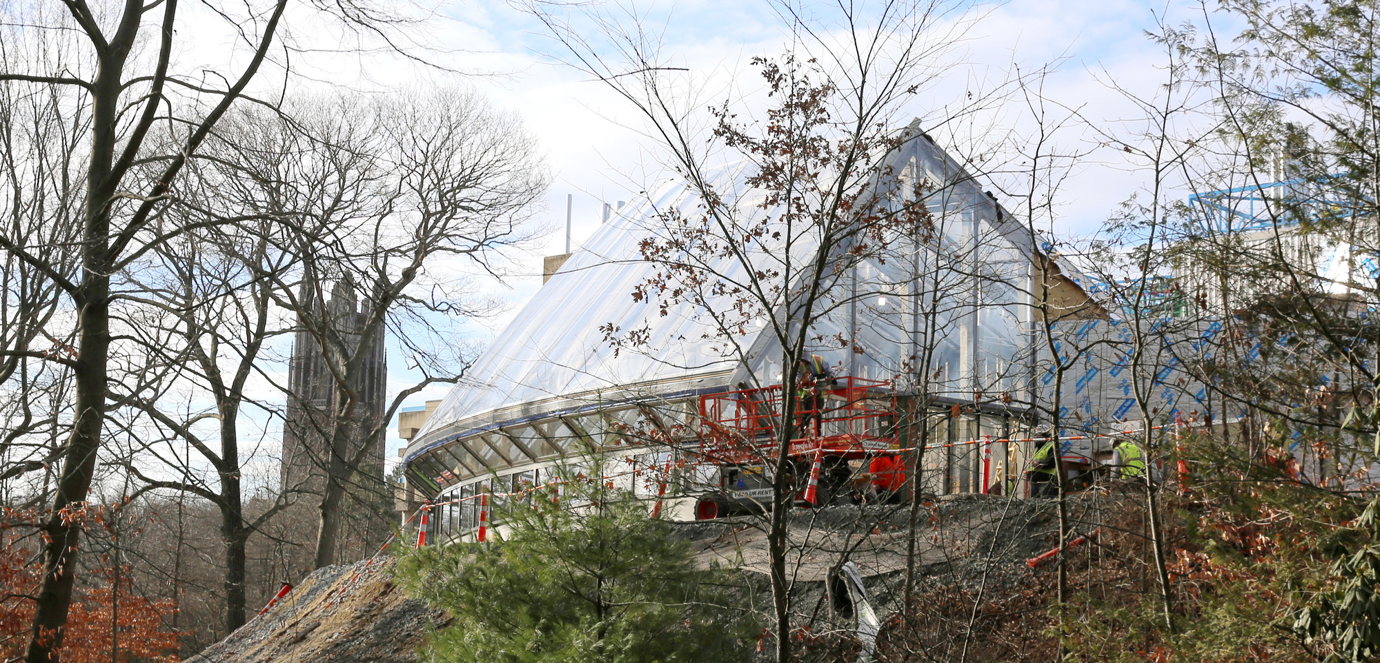 Gallery of Wellesley College Global Flora / Kennedy & Violich ...