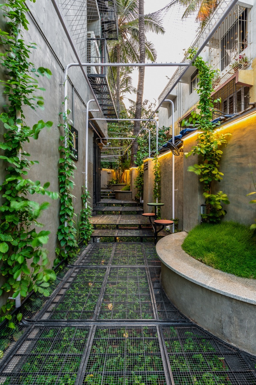 Gallery of Naturals Now Shop / Drink Water Design Studio - 10