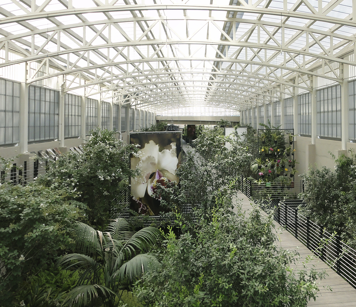 Galería de Arquitectura para plantas: Invernaderos y espacios de ...
