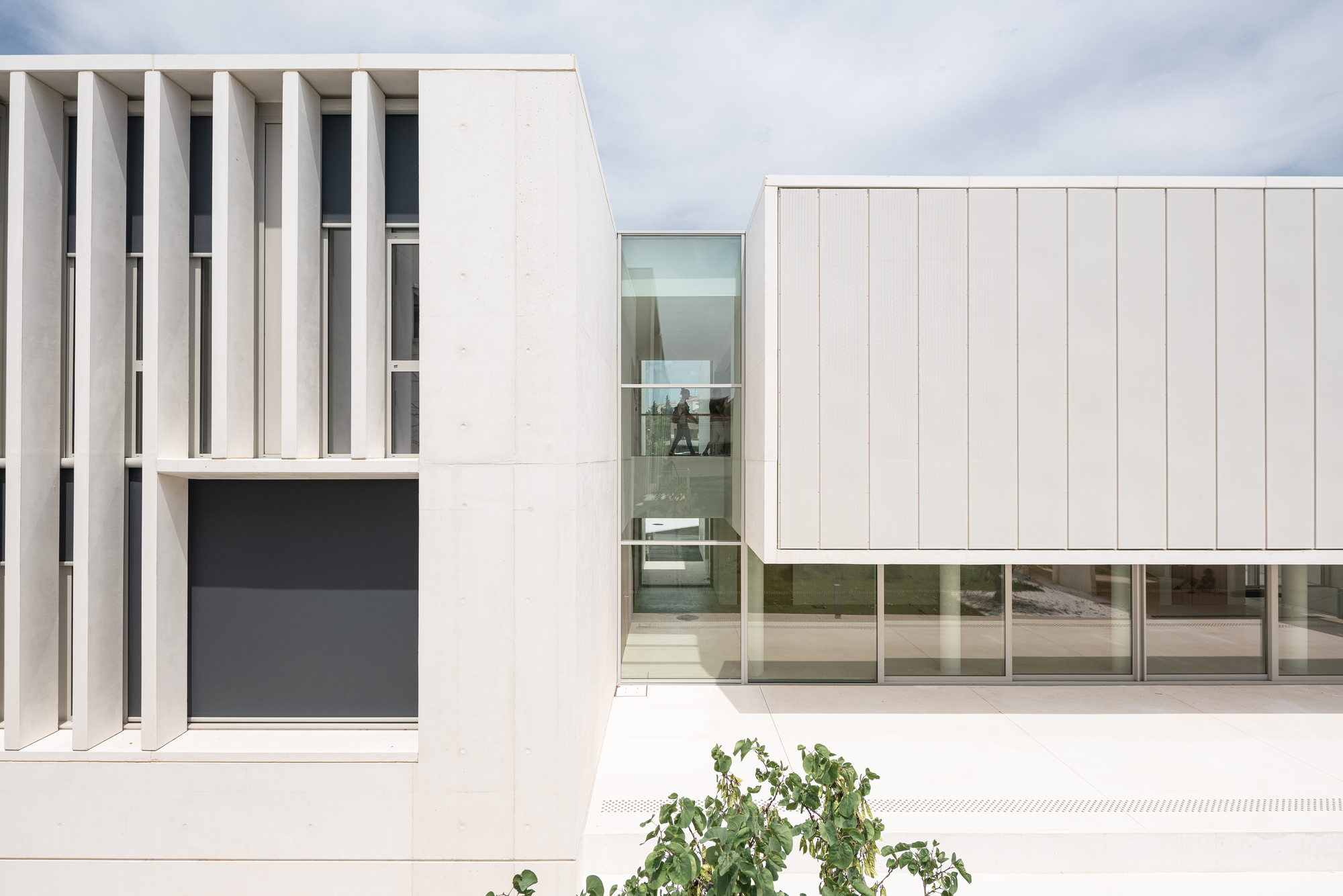 Gallery of The Mediterranean Center for Human Sciences Research Center ...