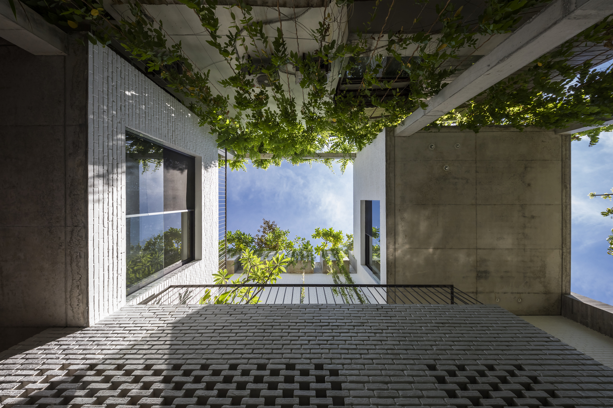 Gallery of Thang House / VTN Architects - 12