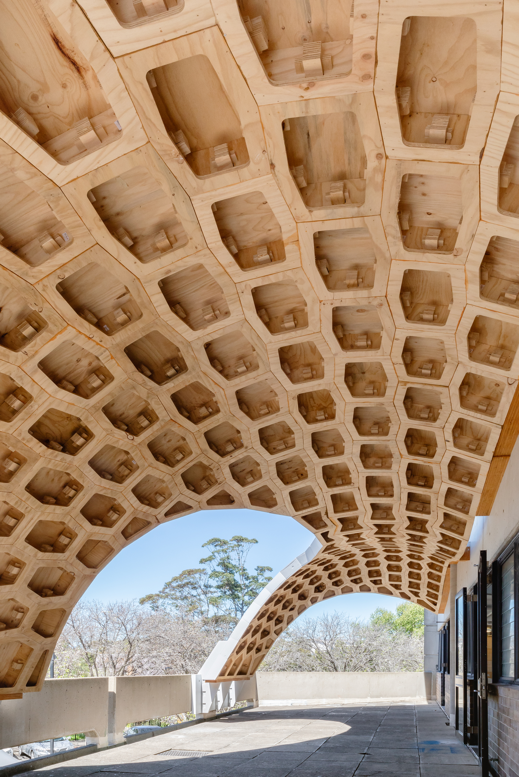 Gallery of HexBox Canopy / DTC + CodeToProduction - 3