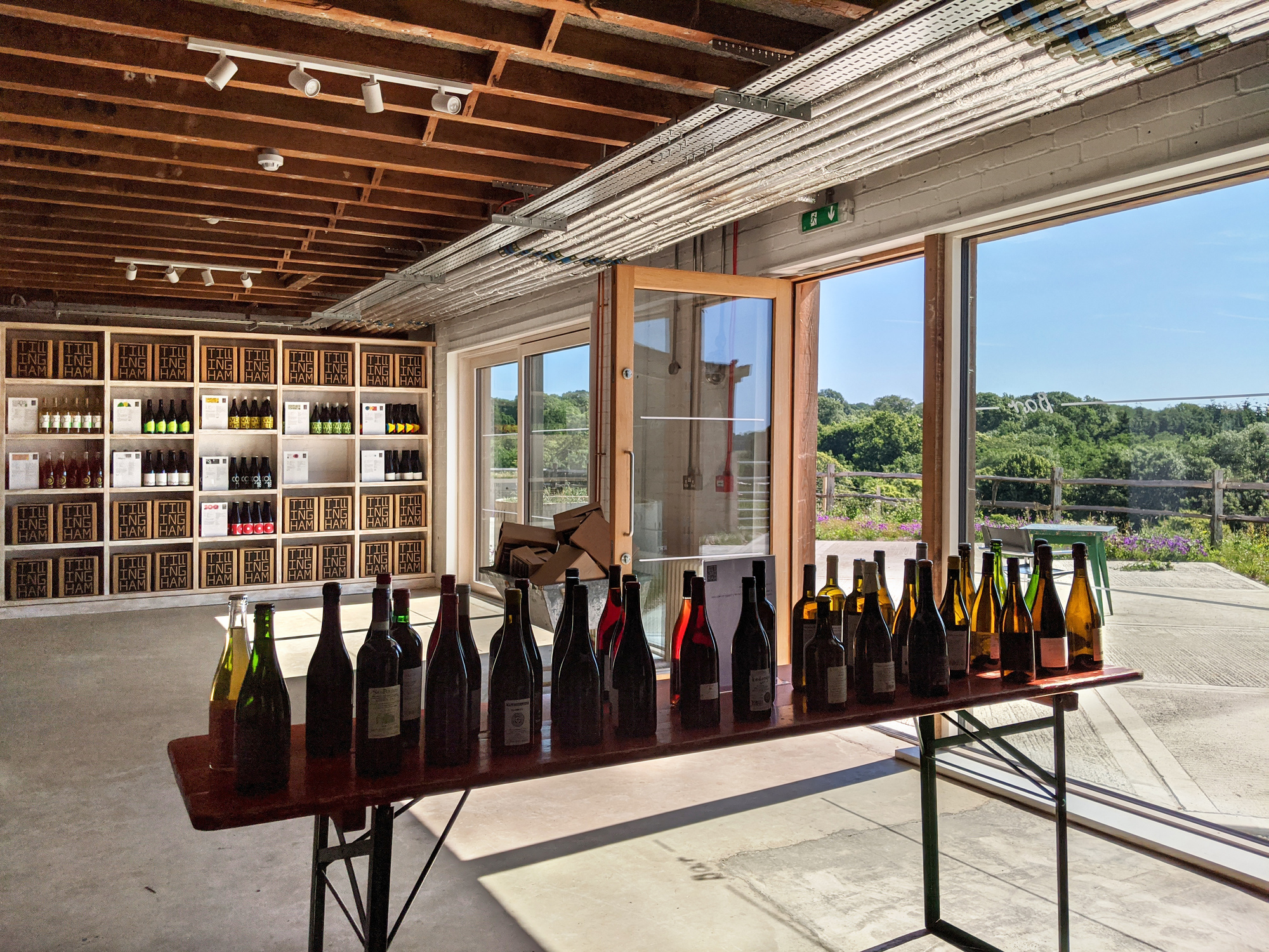 Gallery of Tillingham Winery / RX Architects - 12