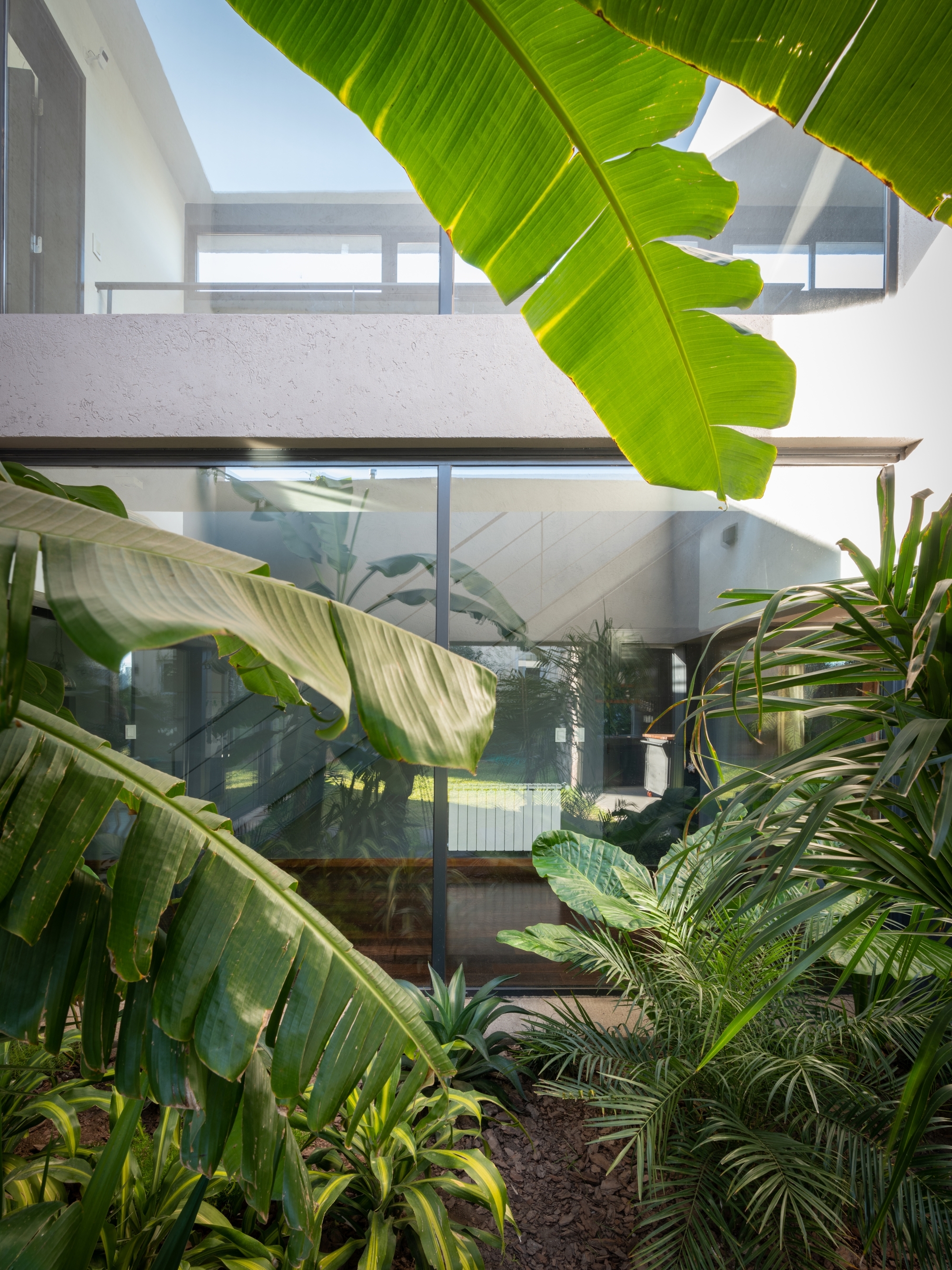 Gallery of LVF House / PSV Arquitectura - 4