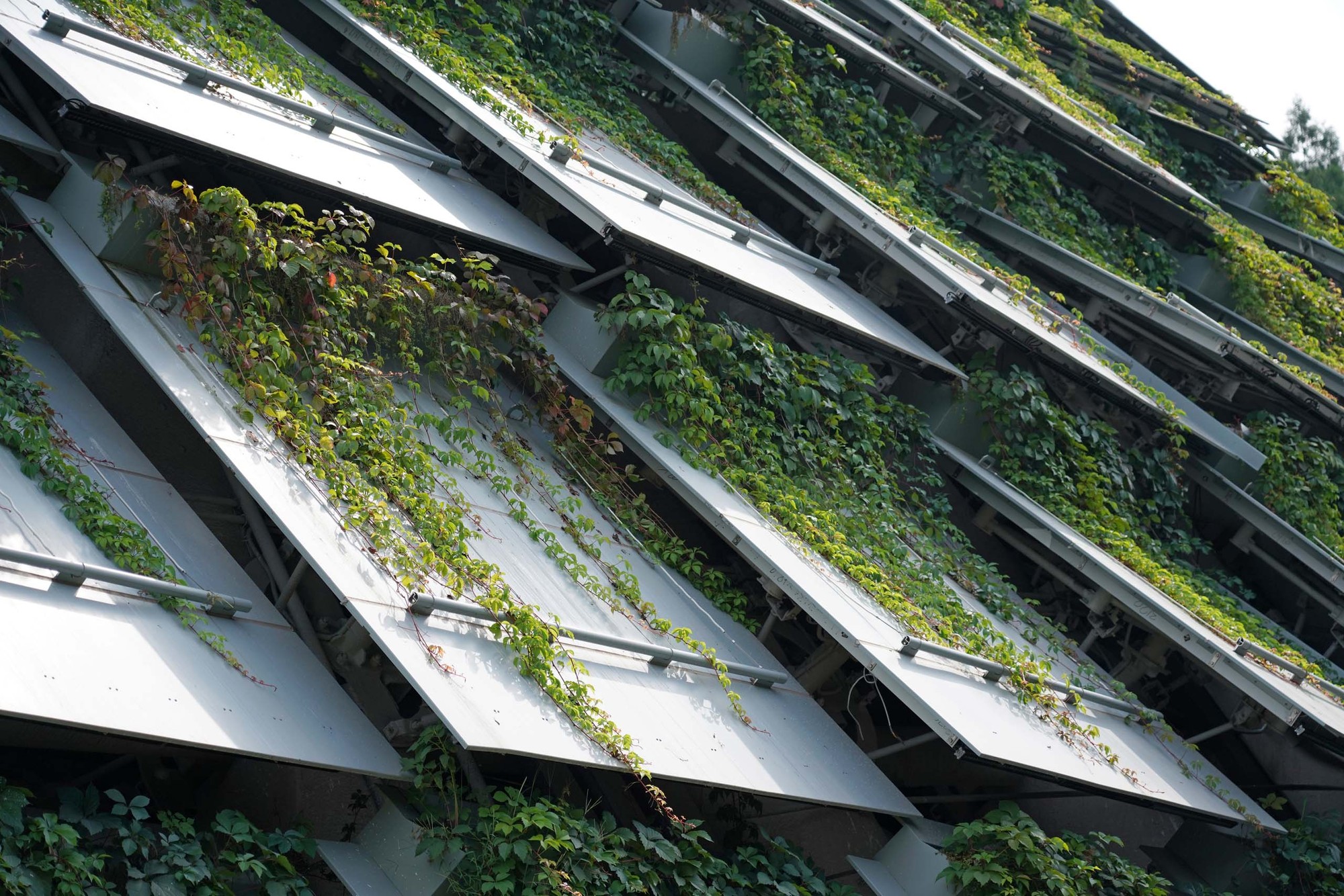 Gallery of The Protective Shelter of Locality 1 Archaeological Site of ...