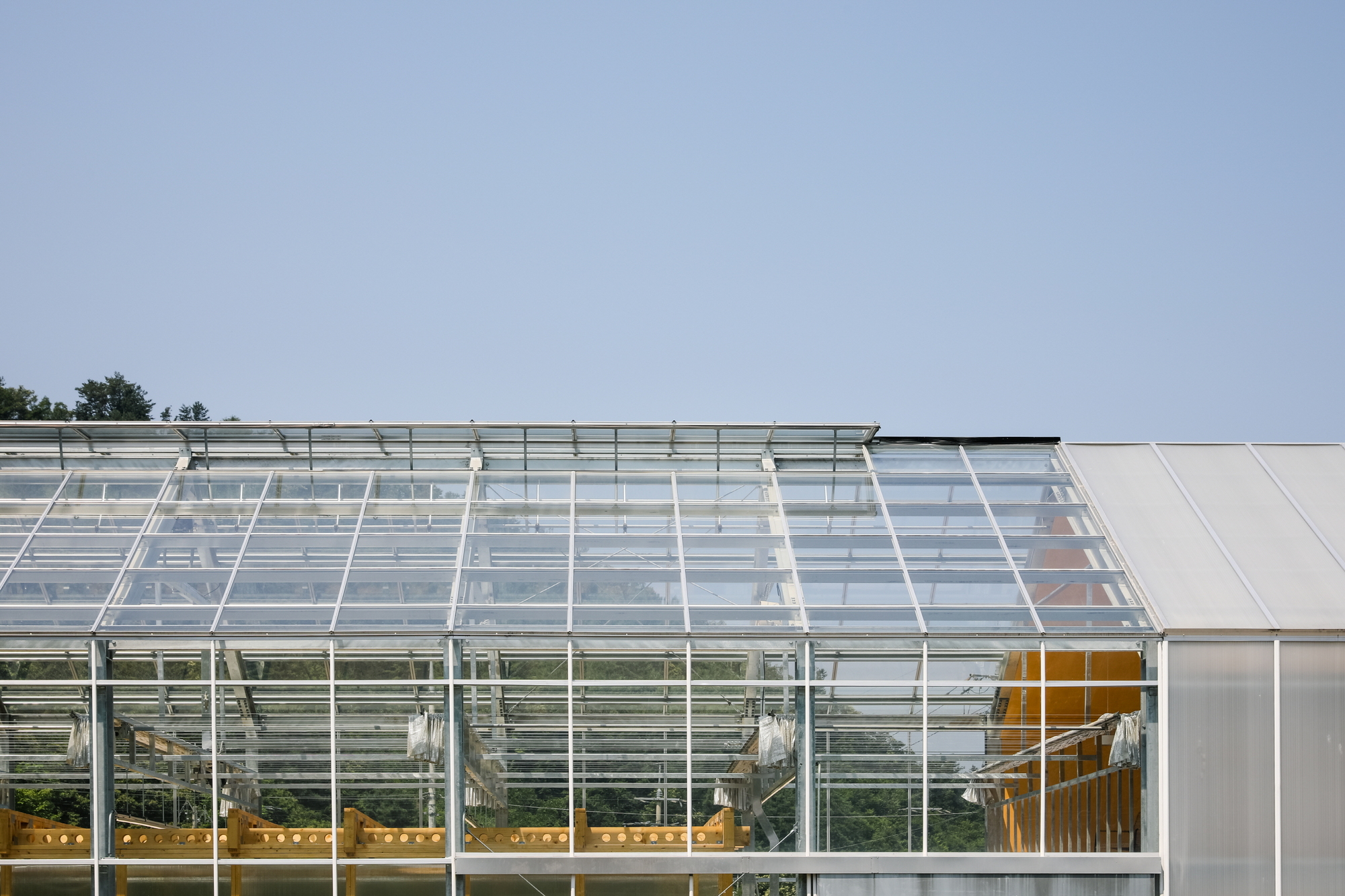 Gallery of Glass House Laboratory / STAY Architects - 26