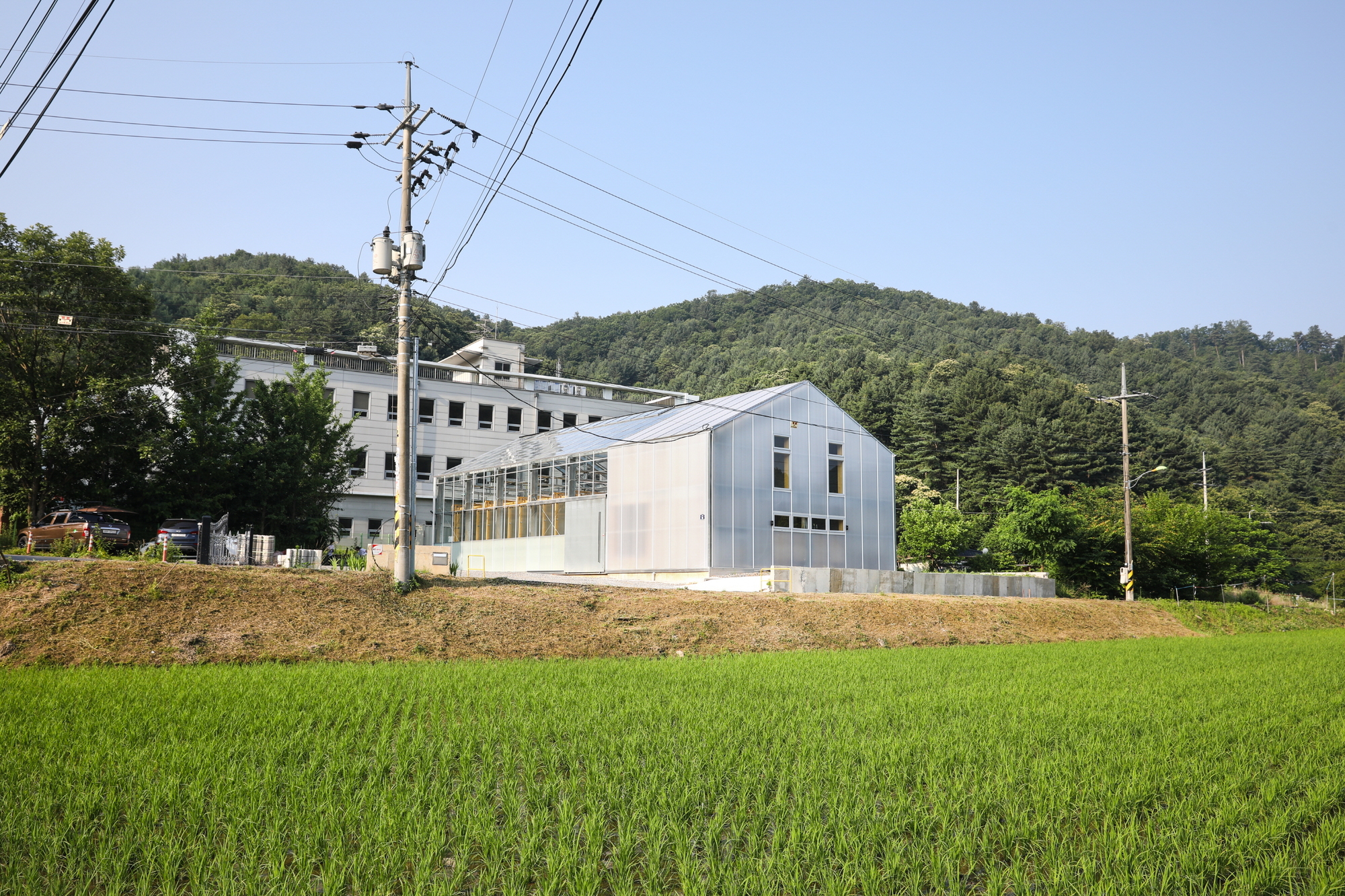 Gallery of Glass House Laboratory / STAY Architects - 22