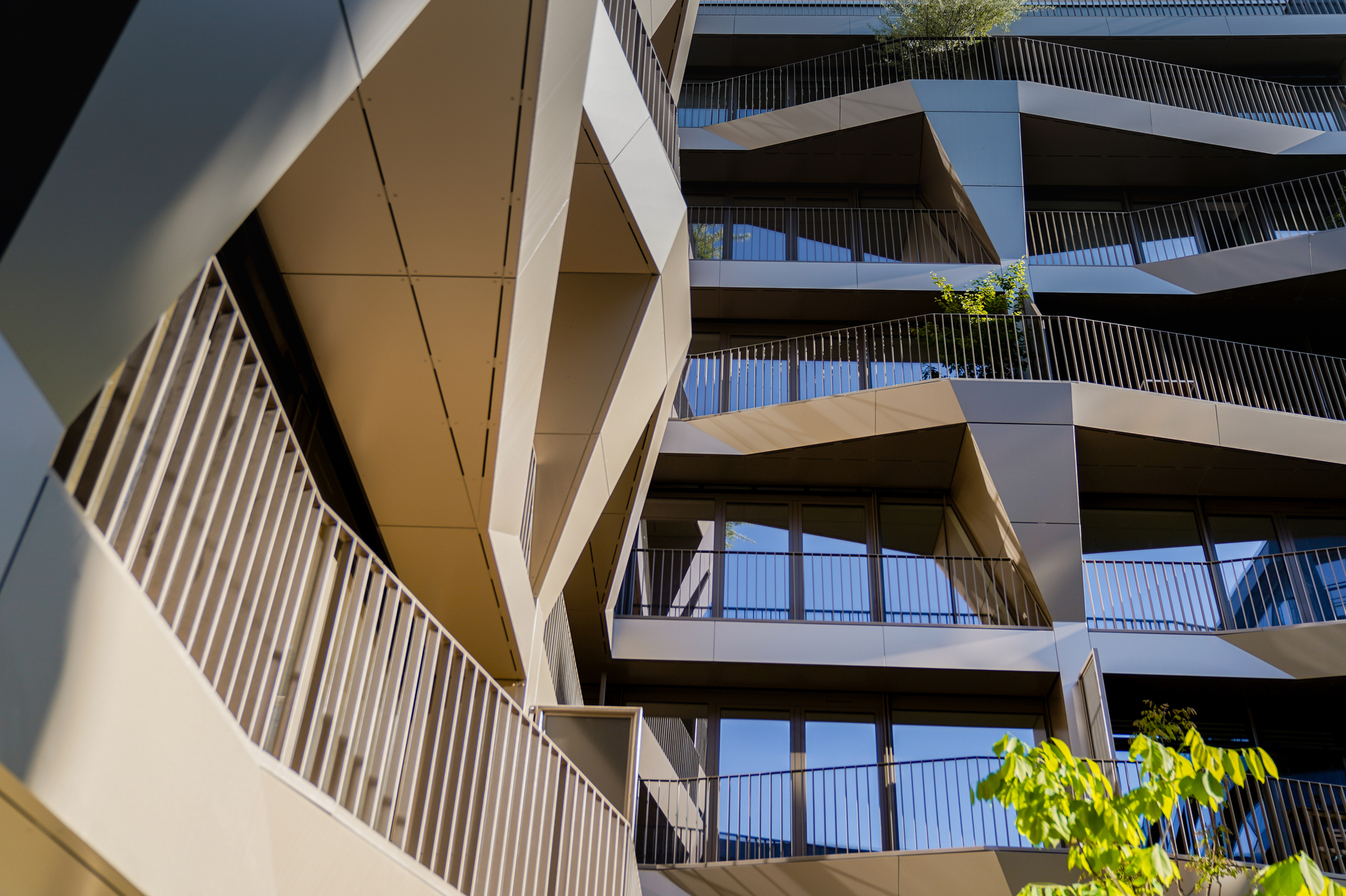 Gallery of Charlie Living Complex / GRAFT - 15