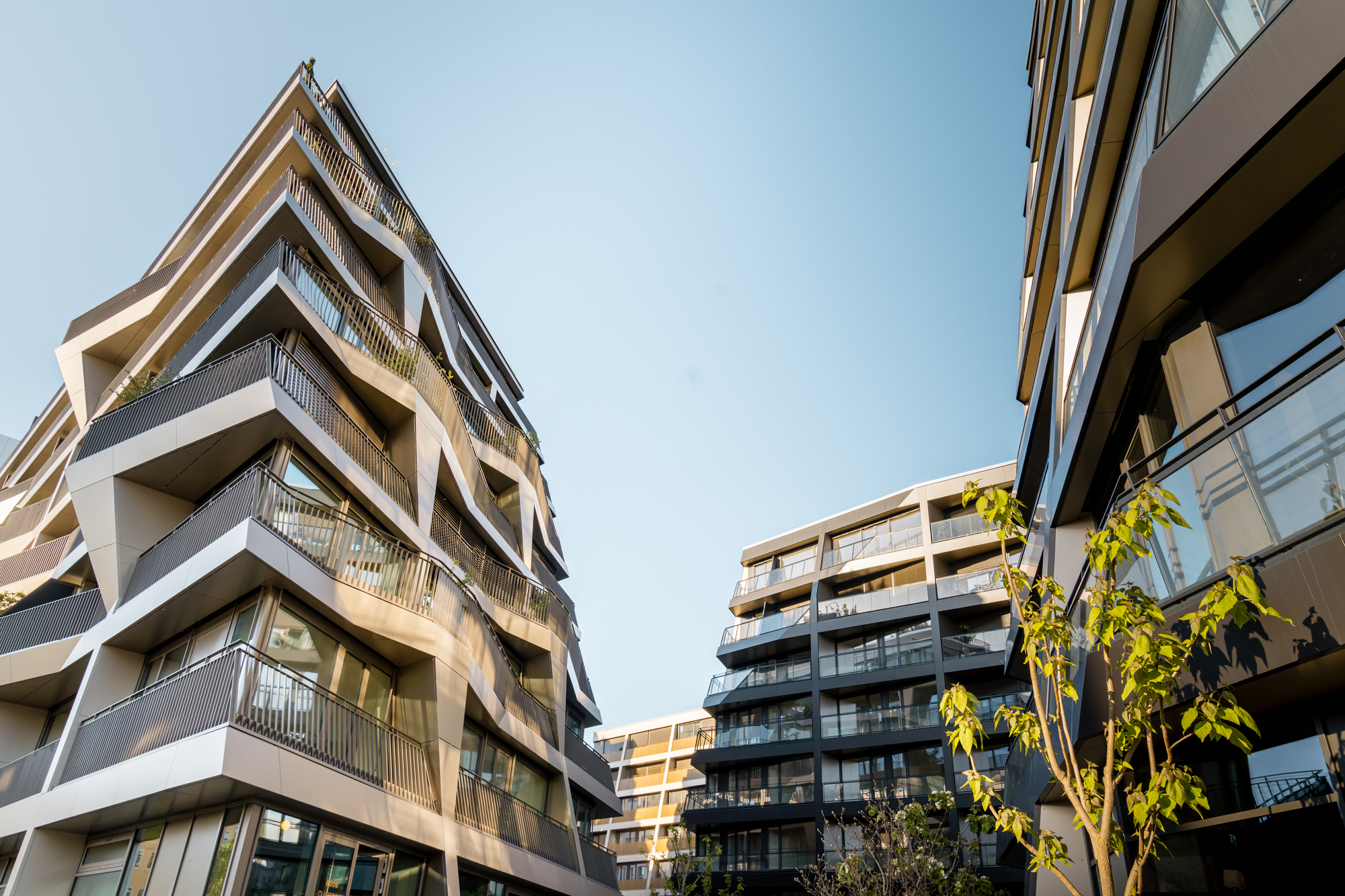 Gallery of Charlie Living Complex / GRAFT - 24