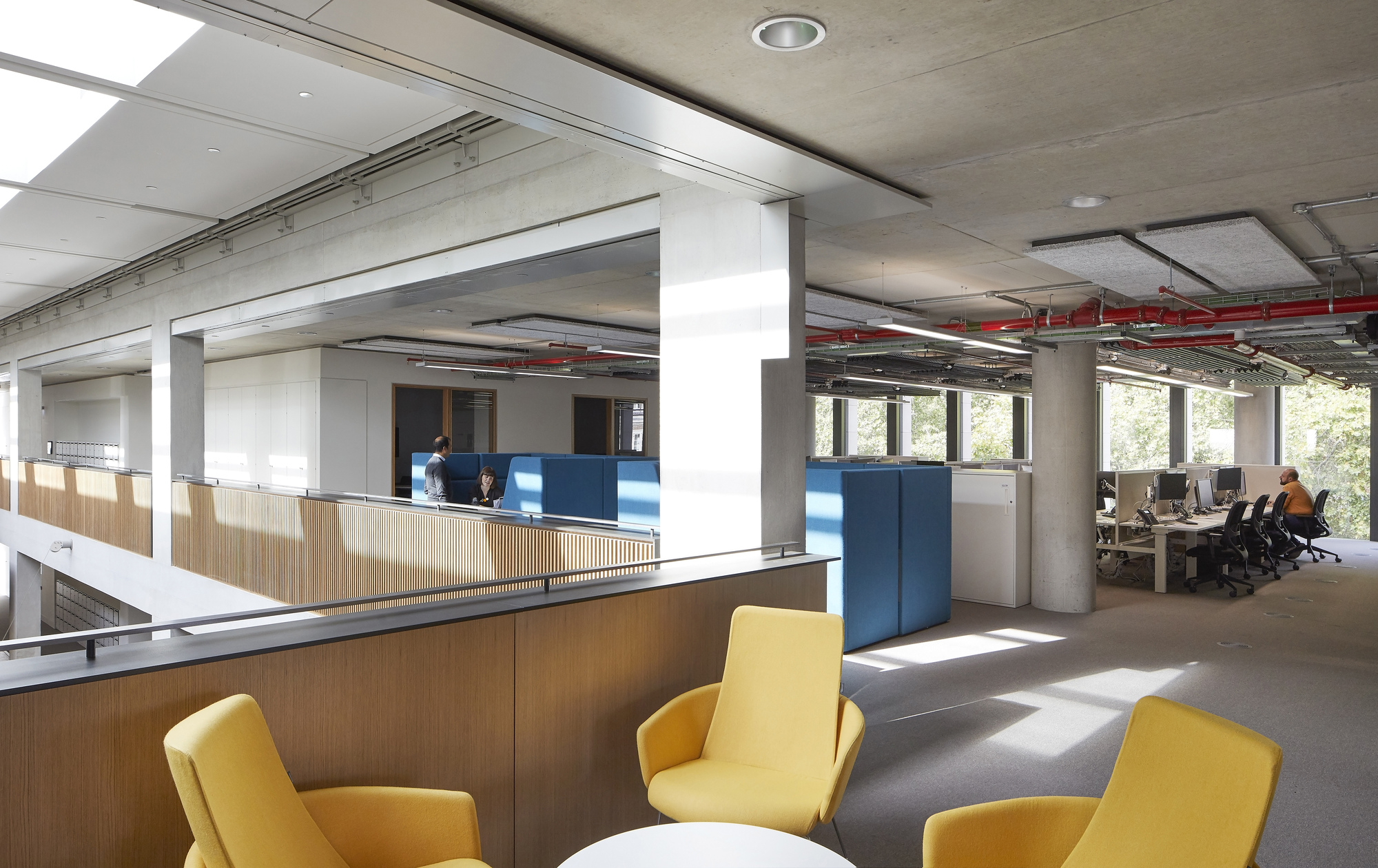 Gallery of The Zayed Centre for Research into Rare Disease in Children ...