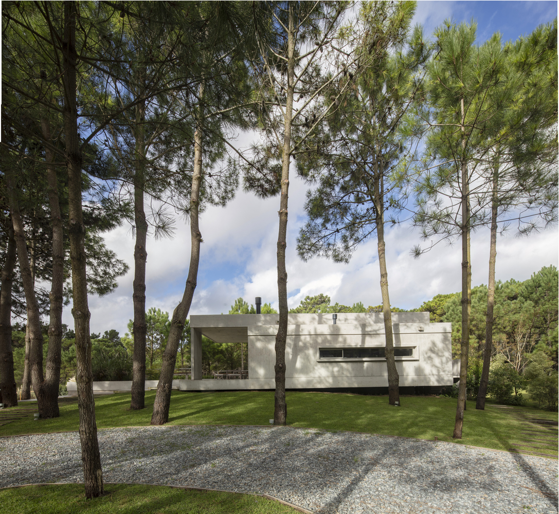 Galería de Casa con diez pinos / Estudio Frolik - 12