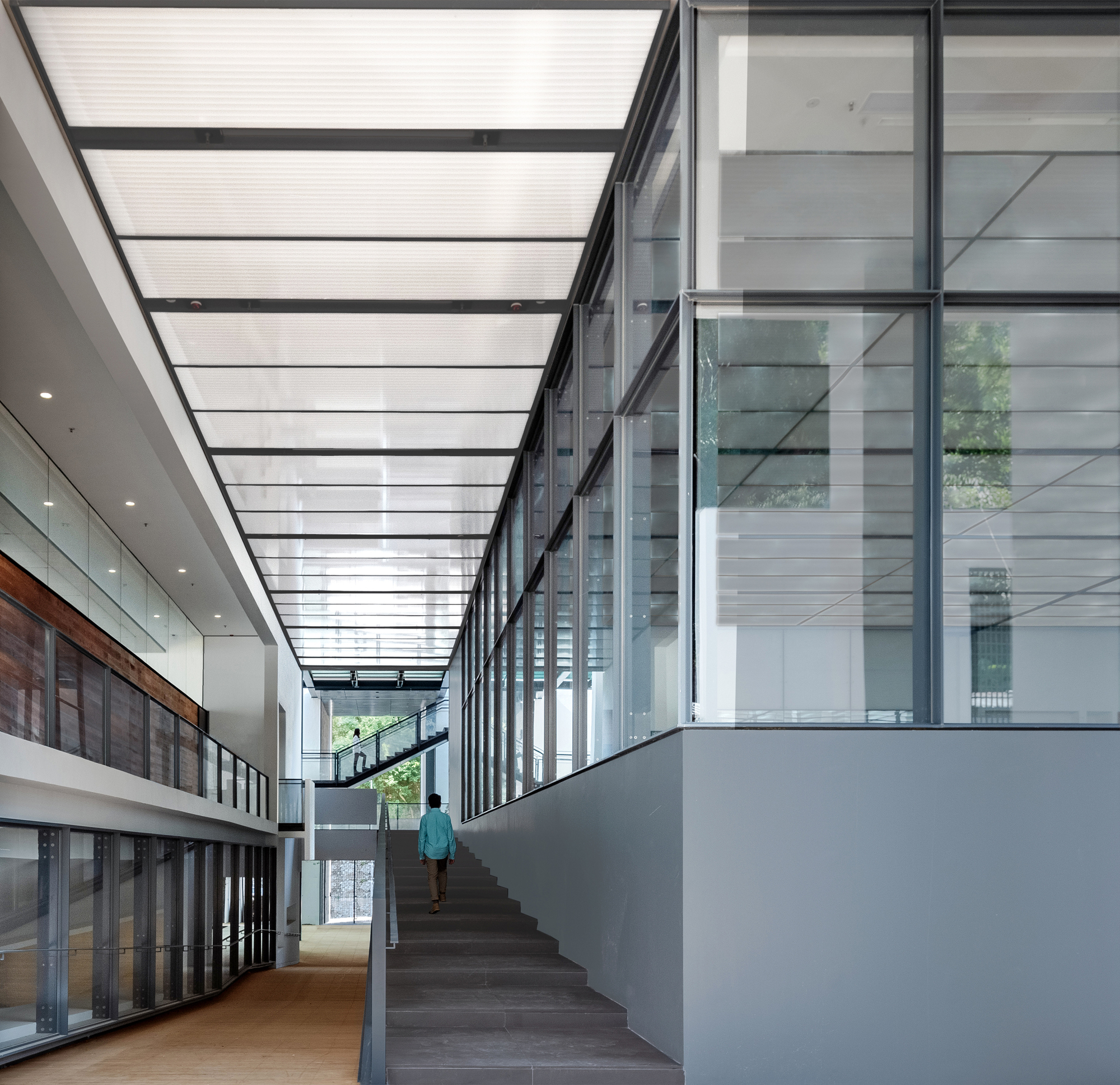 Gallery of Che Kung Temple Sports Centre / ArchSD - 8