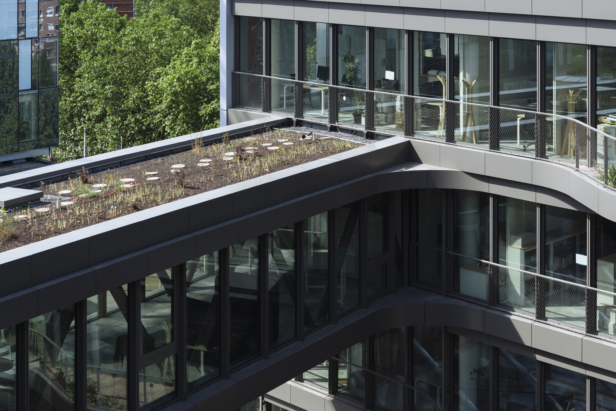 Gallery of Biotope Office Building / Henning Larsen + KeurK ...