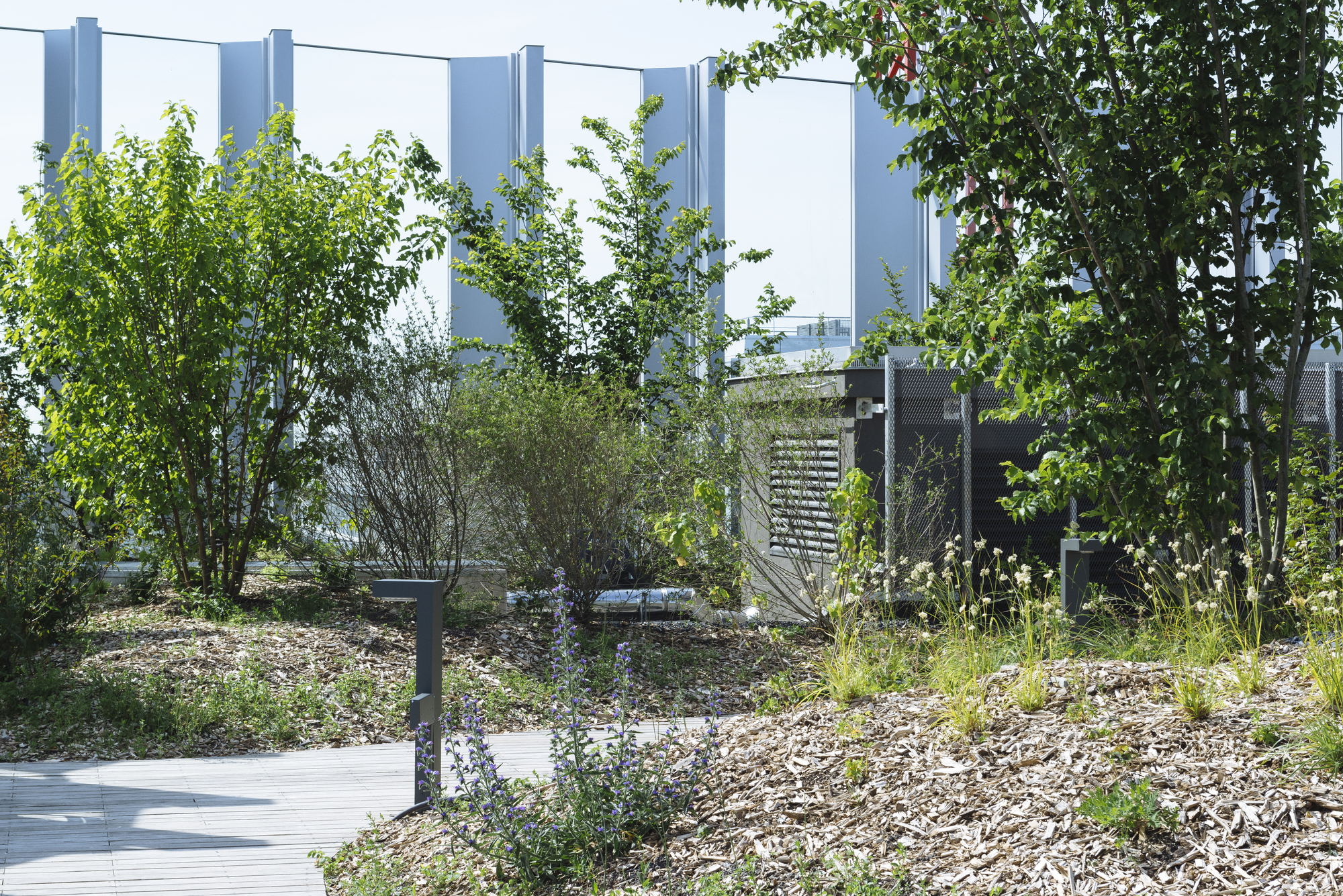 Gallery of Biotope Office Building / Henning Larsen + KeurK ...