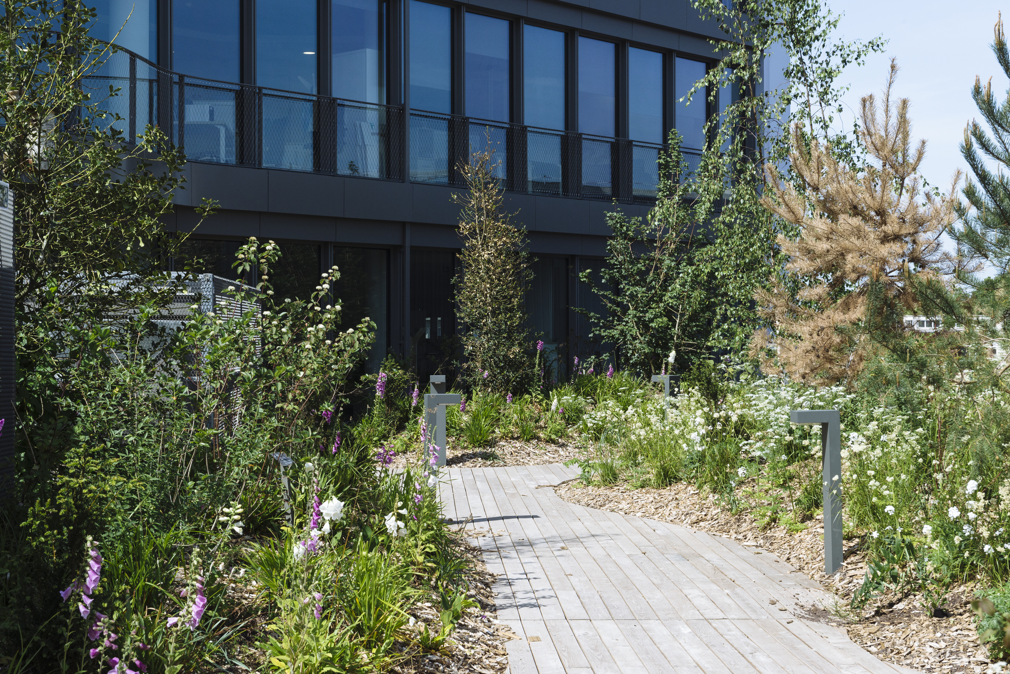 Gallery of Biotope Office Building / Henning Larsen + KeurK ...
