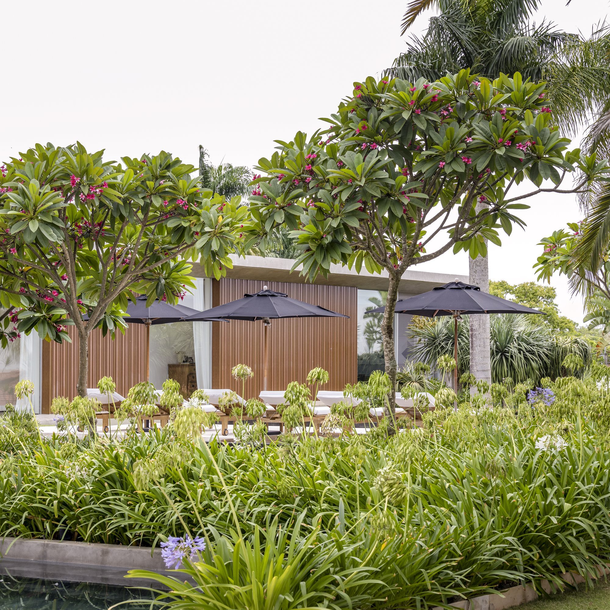 Gallery of CGD Gramado Garden / Alex Hanazaki Paisagismo - 24