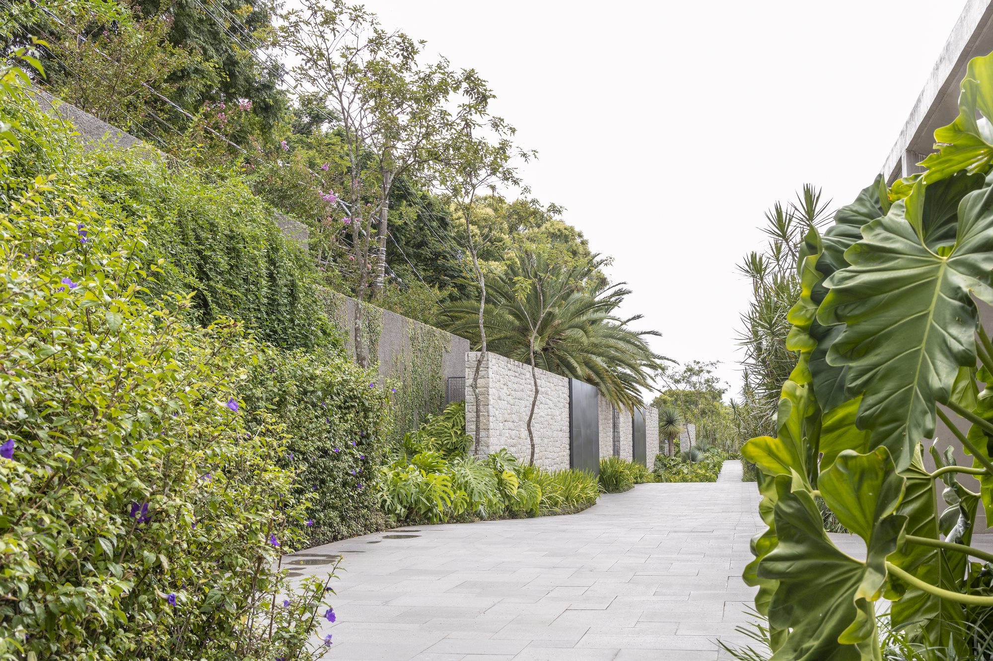 Gallery of CGD Gramado Garden / Alex Hanazaki Paisagismo - 14